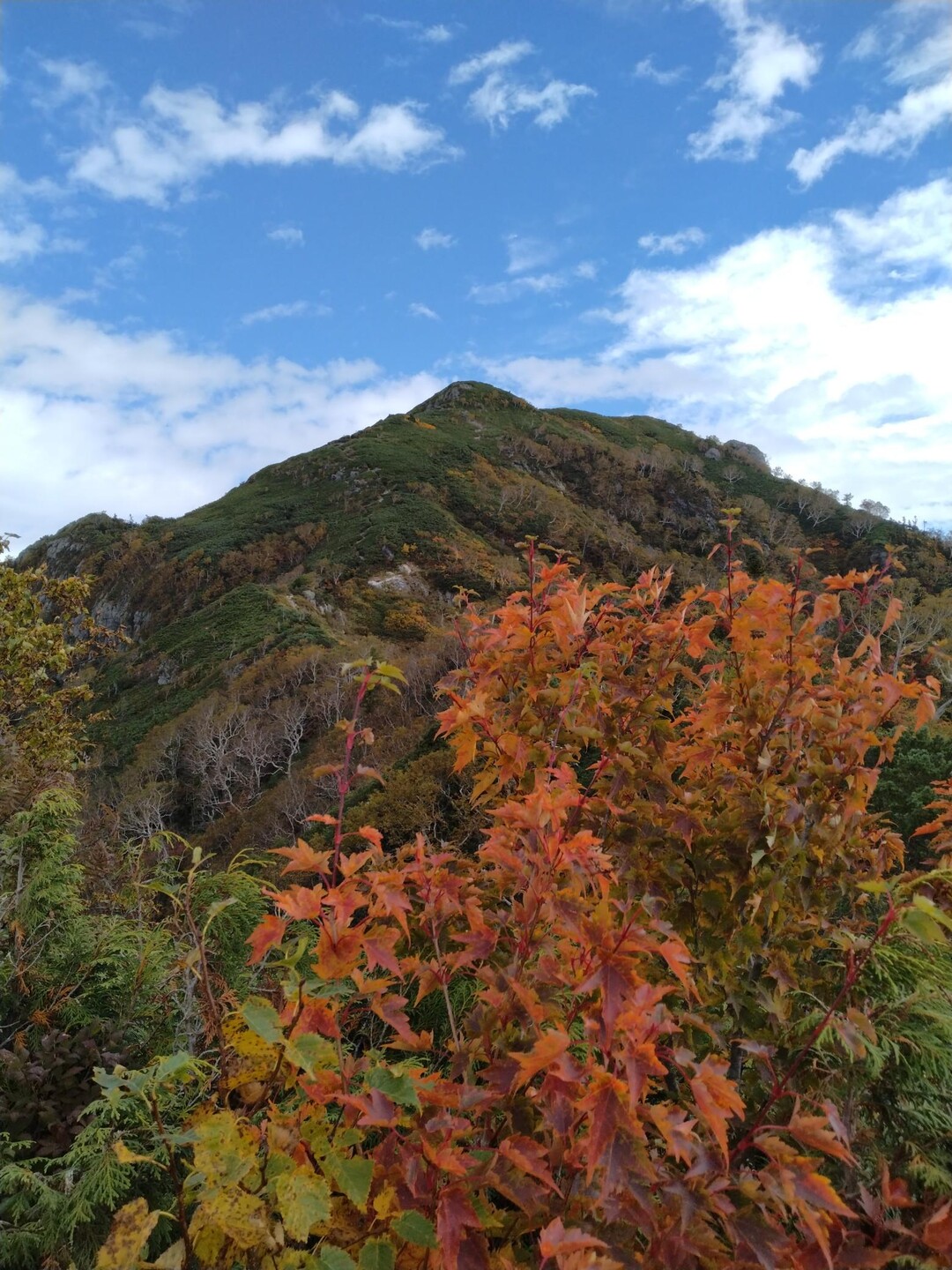 七倉岳〜北葛岳 / ichiroさんの針ノ木岳・スバリ岳・船窪岳の活動日記 | YAMAP / ヤマップ
