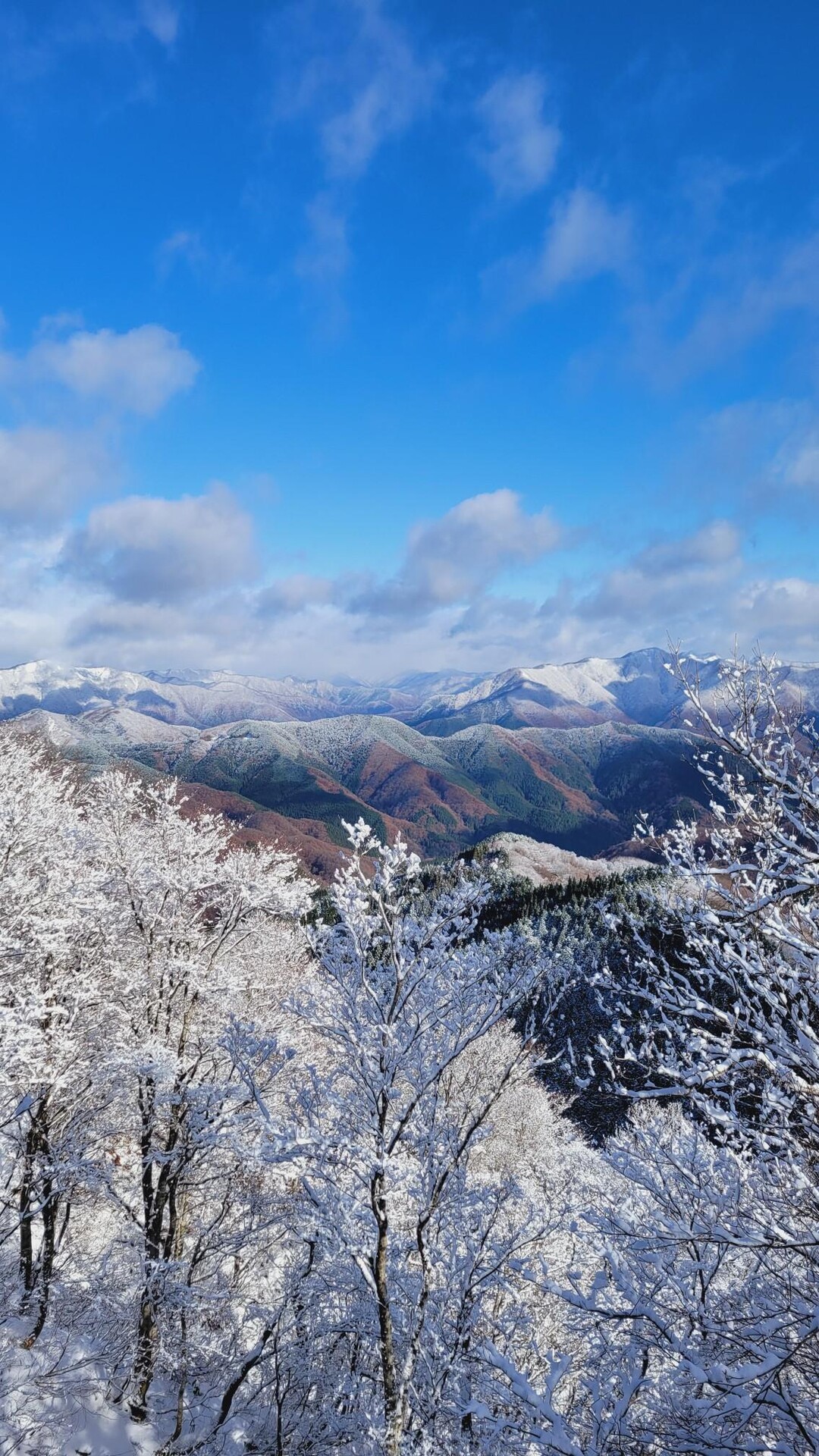小貝月山 / yellさんの貝月山の活動データ | YAMAP / ヤマップ