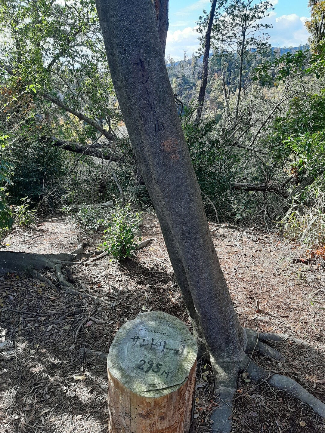 Mr.Kobaさんの投稿したフィールドメモ | YAMAP / ヤマップ