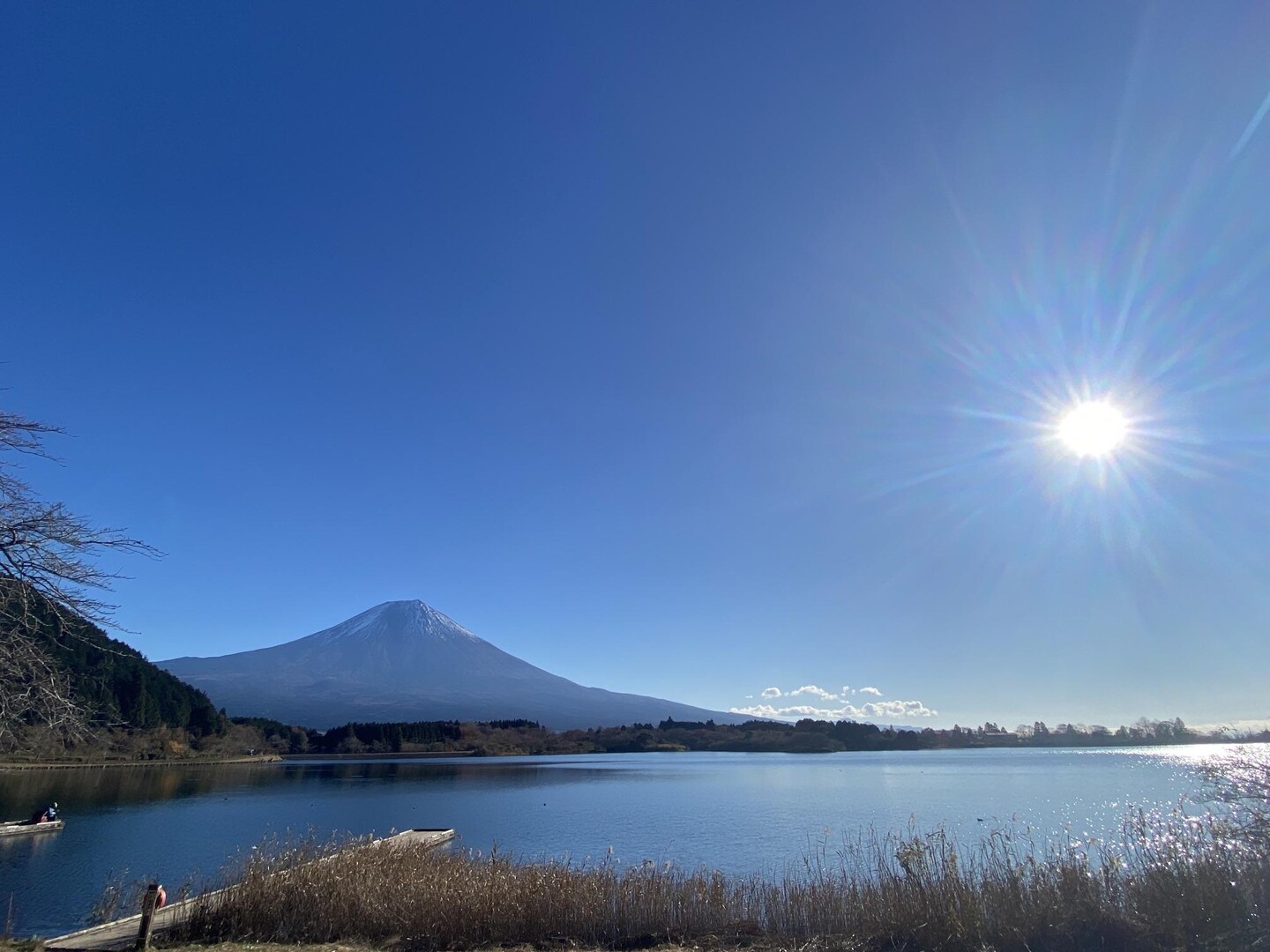 長者ヶ岳・天子ヶ岳 / mahmoさんの長者ヶ岳・天子ヶ岳の活動データ | YAMAP / ヤマップ