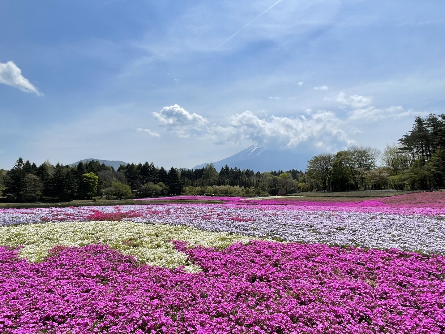 日本の祝日-こどもの日(2022/05/... / Thrillerさんのモーメント | YAMAP / ヤマップ