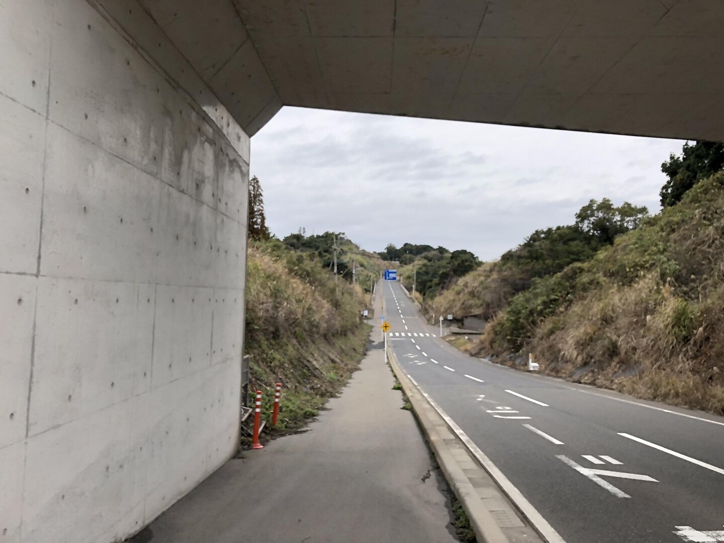 鹿児島マラソソに向けたトレーニングに誘われました / beefとワニ怪人さんの鹿児島市の活動データ | YAMAP / ヤマップ