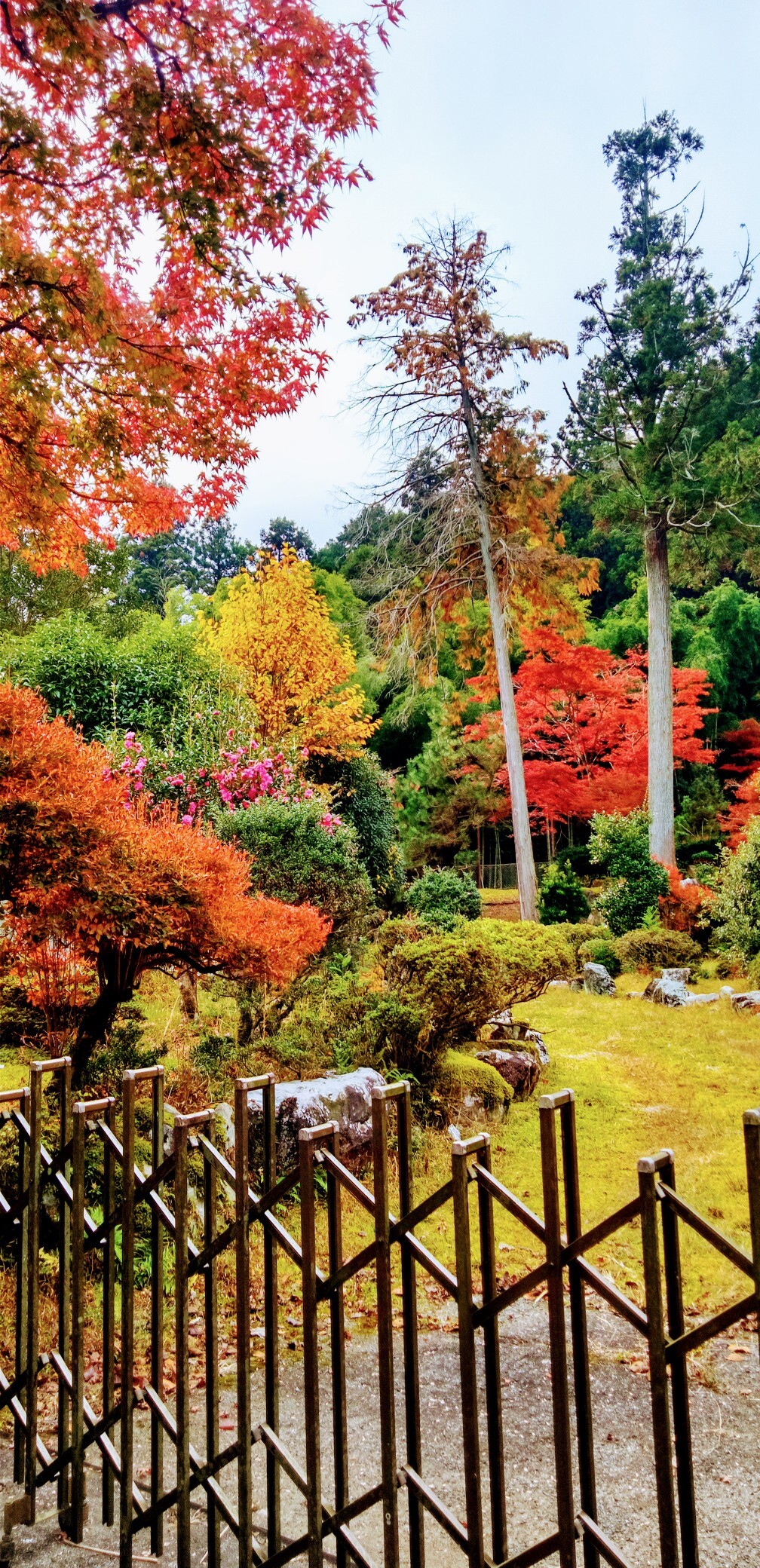 谷汲山華厳寺🍁🍁🍁😄 / そうチャンさんのモーメント | YAMAP / ヤマップ