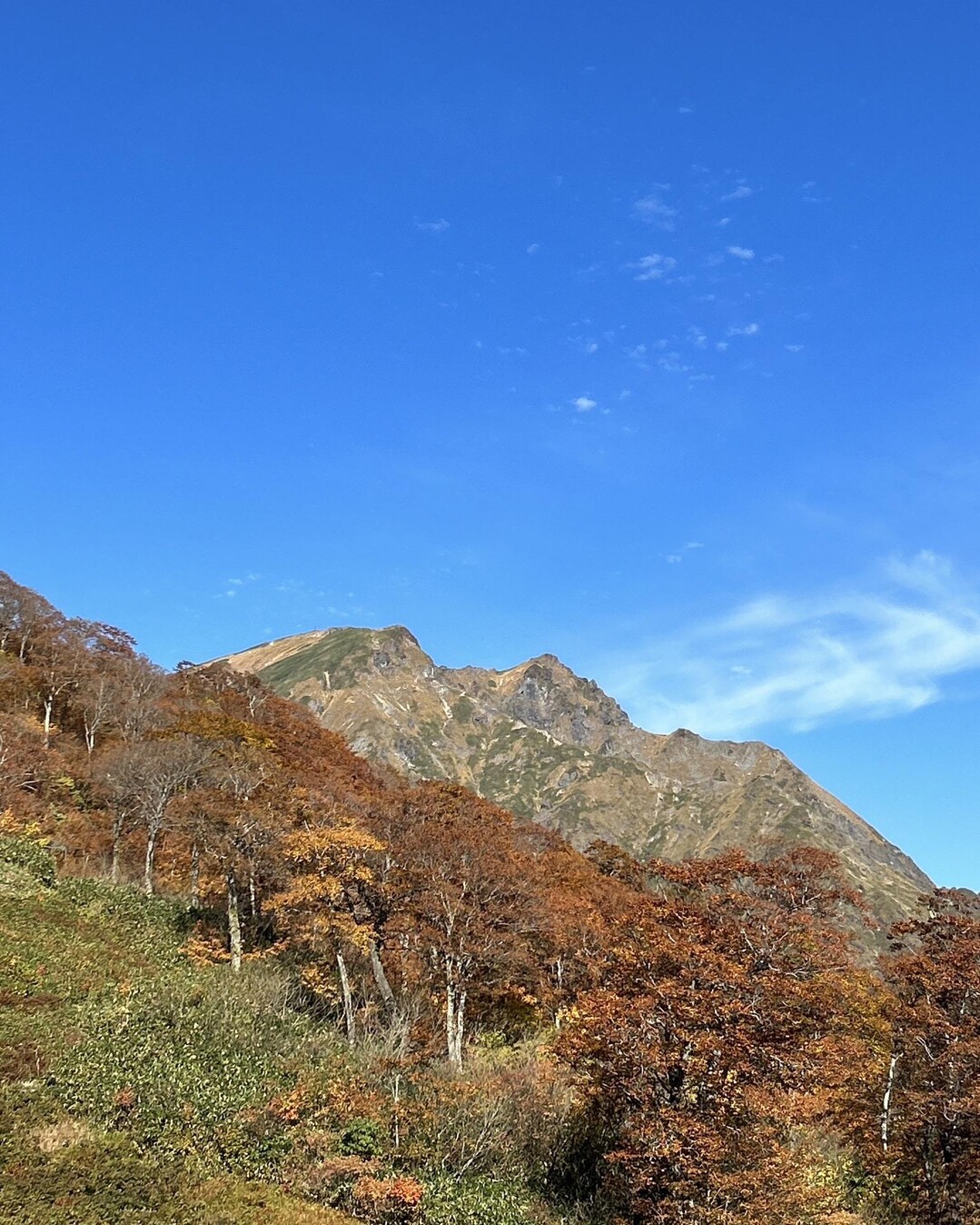 谷川岳は大渋滞💦💦 / conyさんの谷川岳・七ツ小屋山・大源太山の活動データ | YAMAP / ヤマップ