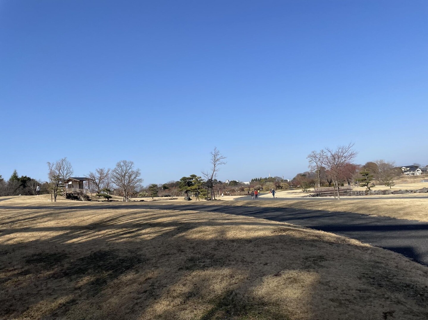 今日は、YちゃんとK夫妻と館林シャトルマ... / guyさんのモーメント | YAMAP / ヤマップ