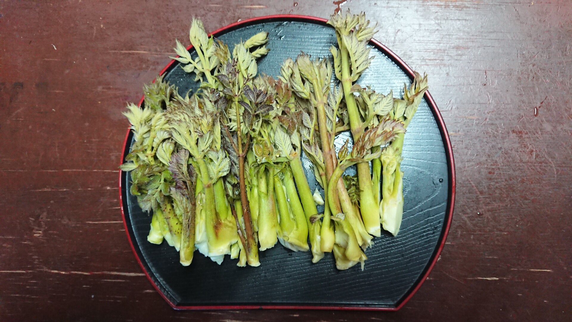 （66）🎵 ️Plant & Musi... / marinさんのモーメント | YAMAP / ヤマップ