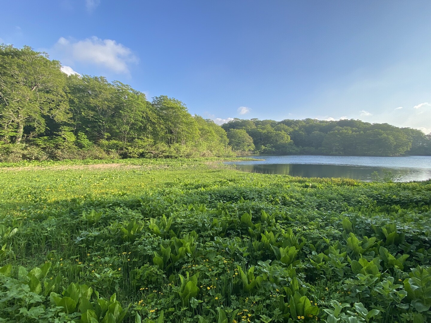 Moonkeyさんの投稿したフィールドメモ | YAMAP / ヤマップ