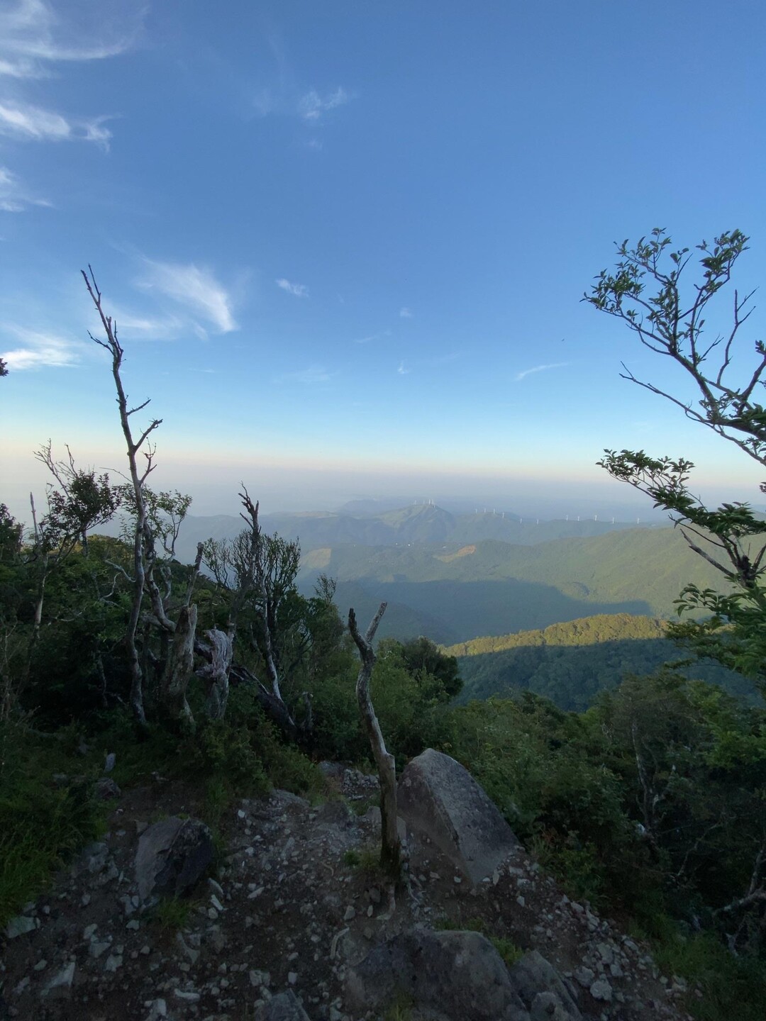 万二郎岳（天城山）・万三郎岳（天城山）・小岳 / ZUMIさんの天城山・鉢ノ山・三筋山の活動データ | YAMAP / ヤマップ