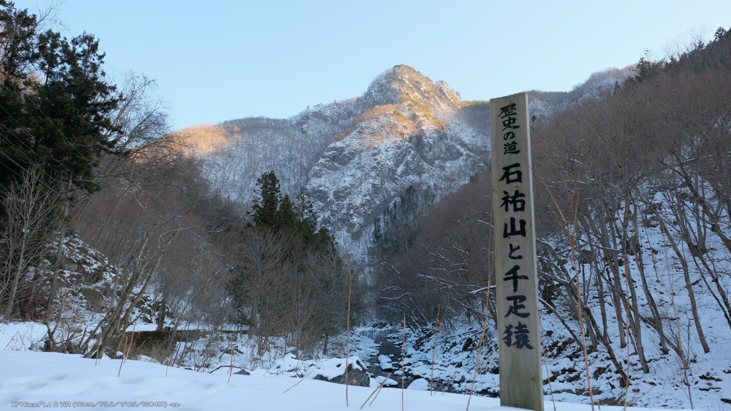 石祐山510m(住田町) / an(アン)さんの五葉山・愛染山の活動日記 | YAMAP / ヤマップ