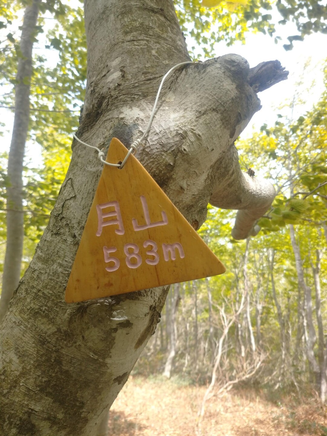 月山 / RIKUさんの羽山・羽黒山・月山の活動データ | YAMAP / ヤマップ