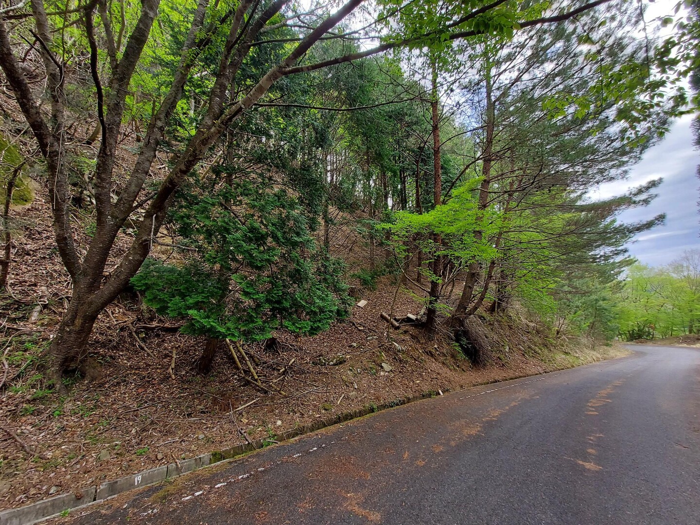 Jasperさんの投稿したフィールドメモ | YAMAP / ヤマップ