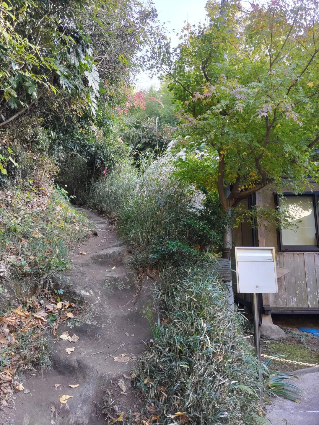 nonさんの投稿したフィールドメモ | YAMAP / ヤマップ