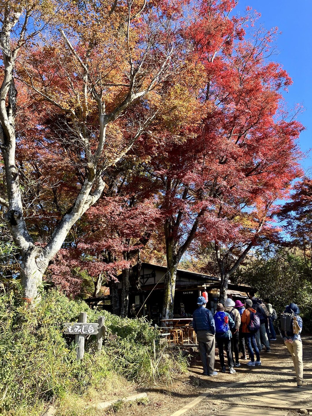 高尾山・城山（小仏城山）・景信山・大久保山・478m圏峰 / コバさんの高尾山・陣馬山・景信山の活動データ | YAMAP / ヤマップ