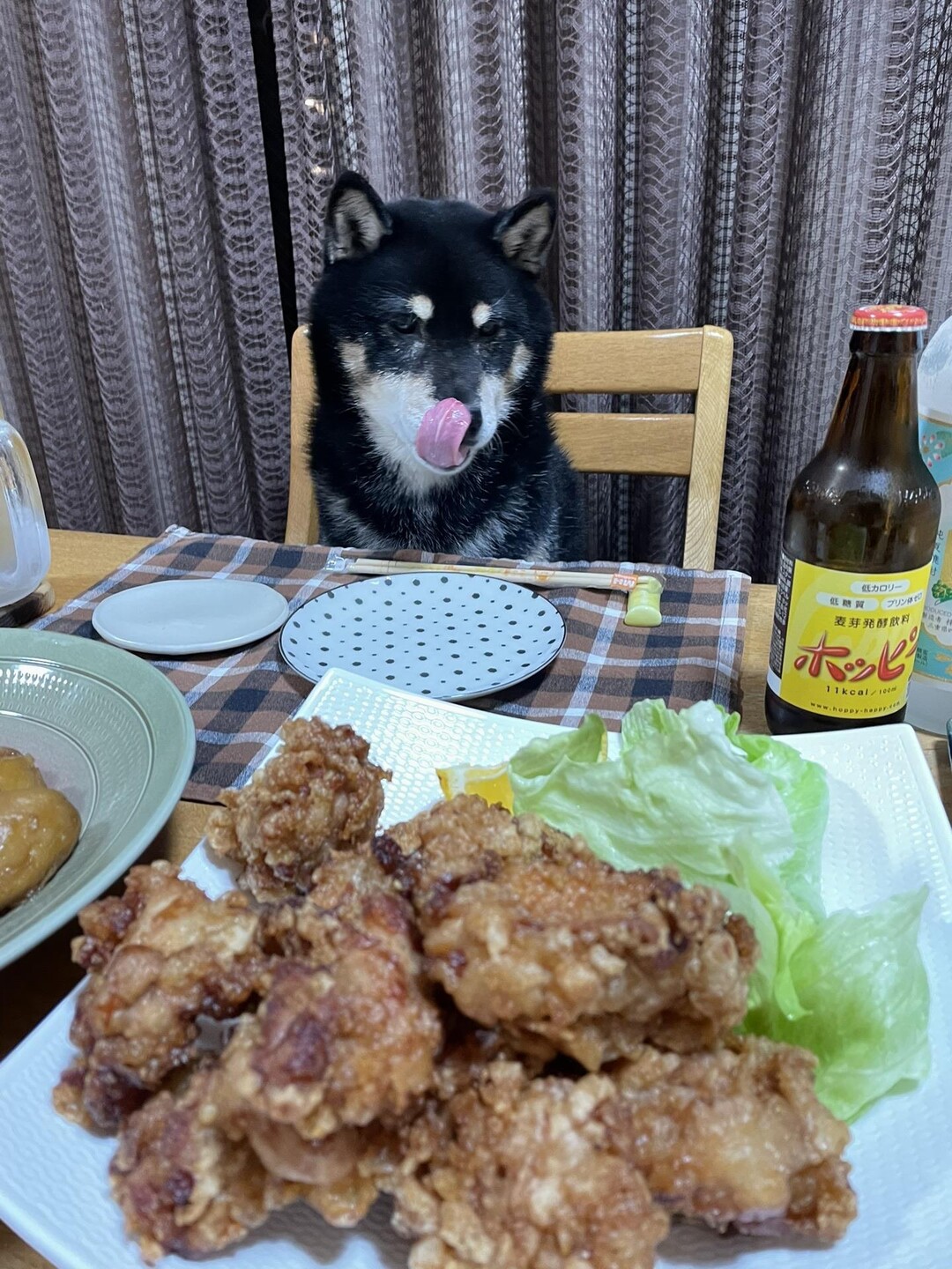 唐揚げ食べたーい🐾 / えみクロさんのモーメント | YAMAP / ヤマップ