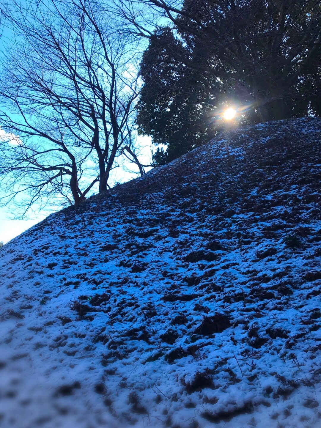 枡形山 ㉟また下見😳 / kcoさんの堀坂山・観音岳・桝形山（白米城）の活動データ | YAMAP / ヤマップ