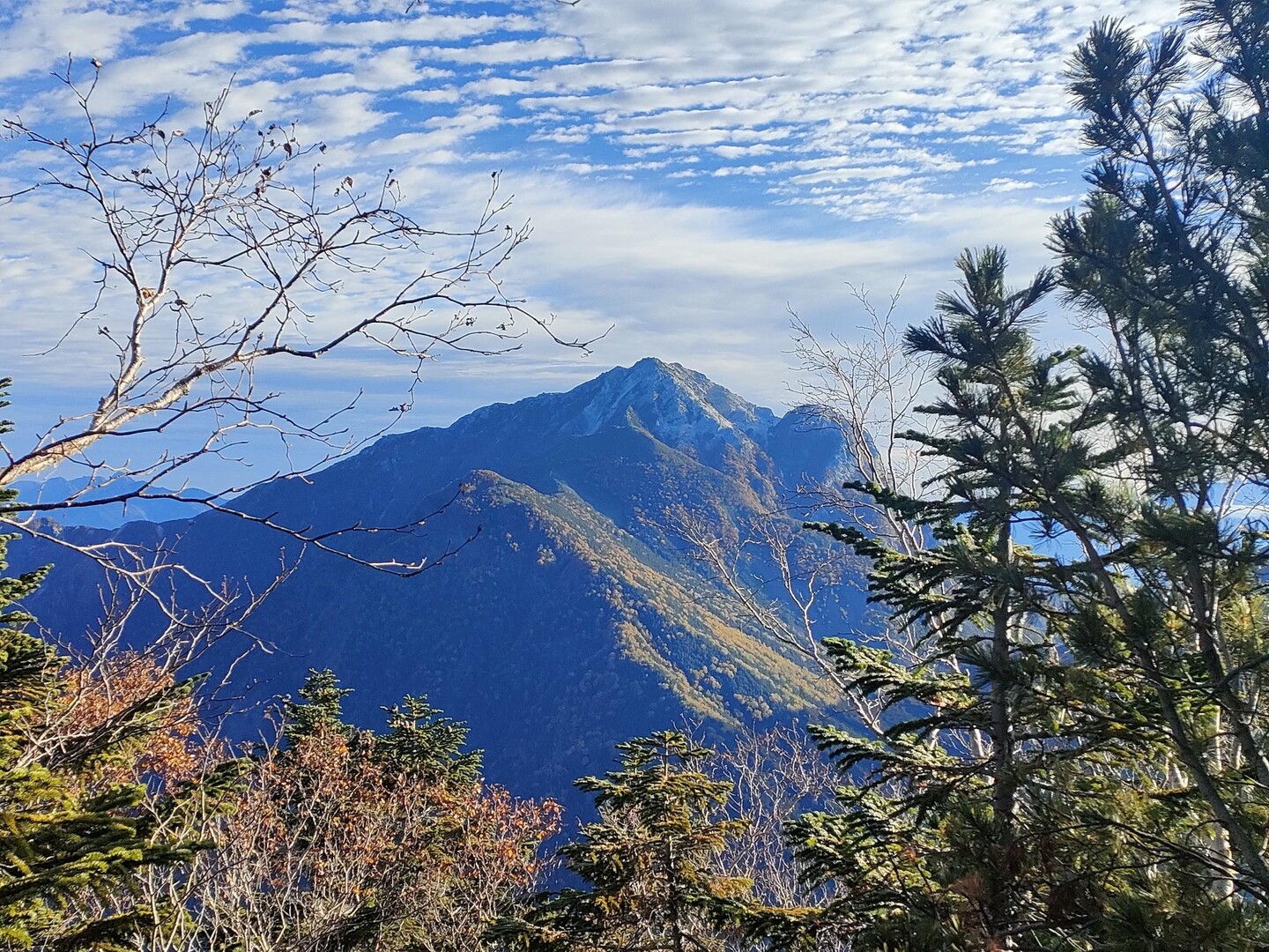 甲斐駒ヶ岳・仙丈ヶ岳 / junjunさんの仙丈ヶ岳・伊那荒倉岳の活動データ | YAMAP / ヤマップ
