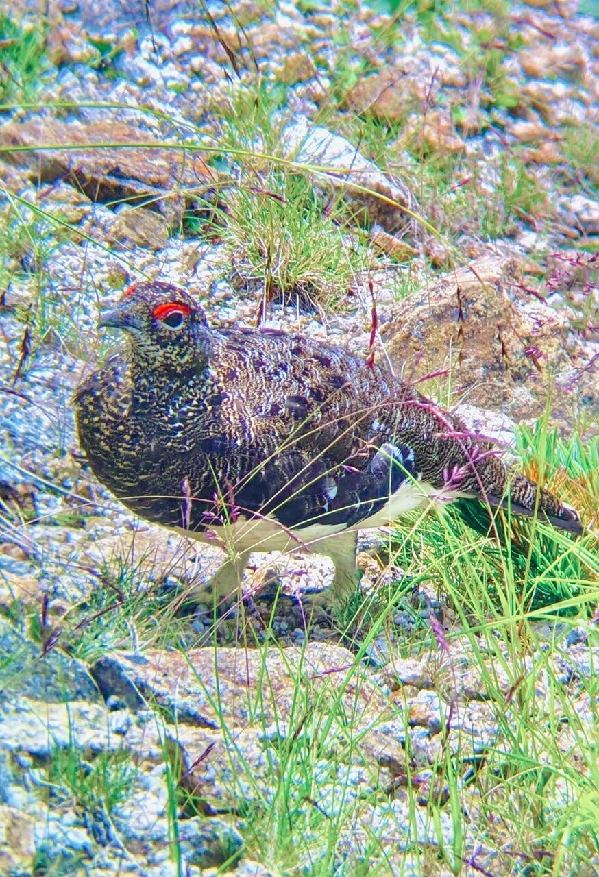 YUUKI🏔のページ | YAMAP / ヤマップ