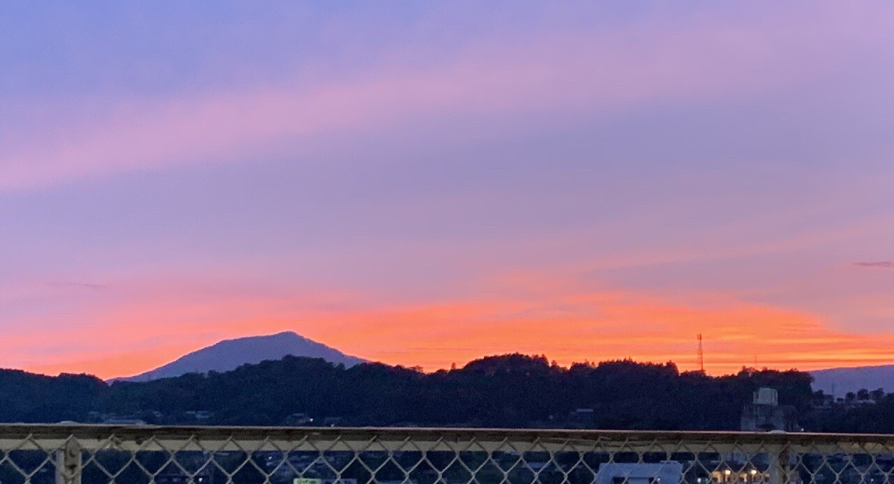 現場の近くから。笠置山？？ それにしても... / y a n a g iさんのモーメント | YAMAP / ヤマップ