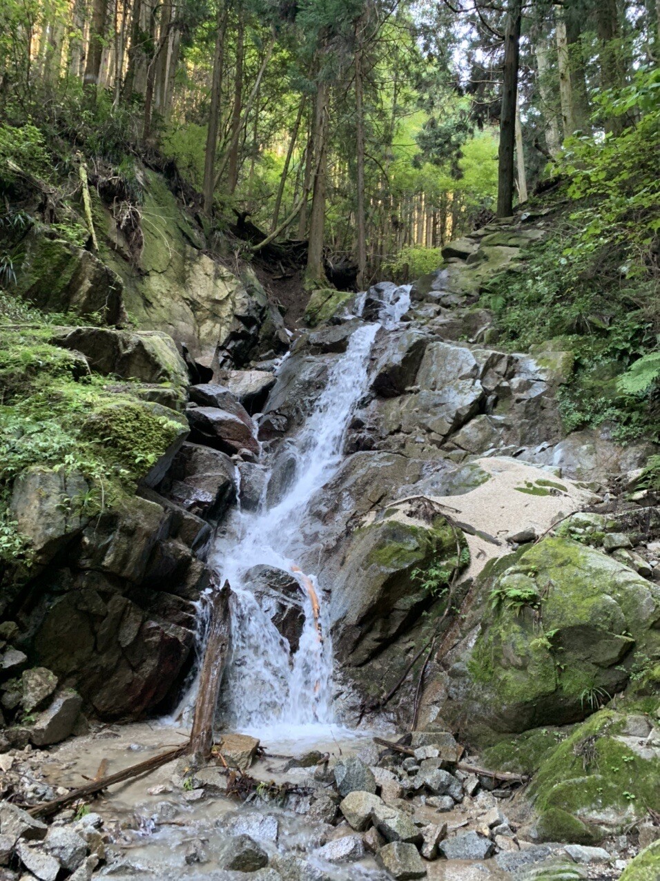 Merry さんの投稿したフィールドメモ | YAMAP / ヤマップ