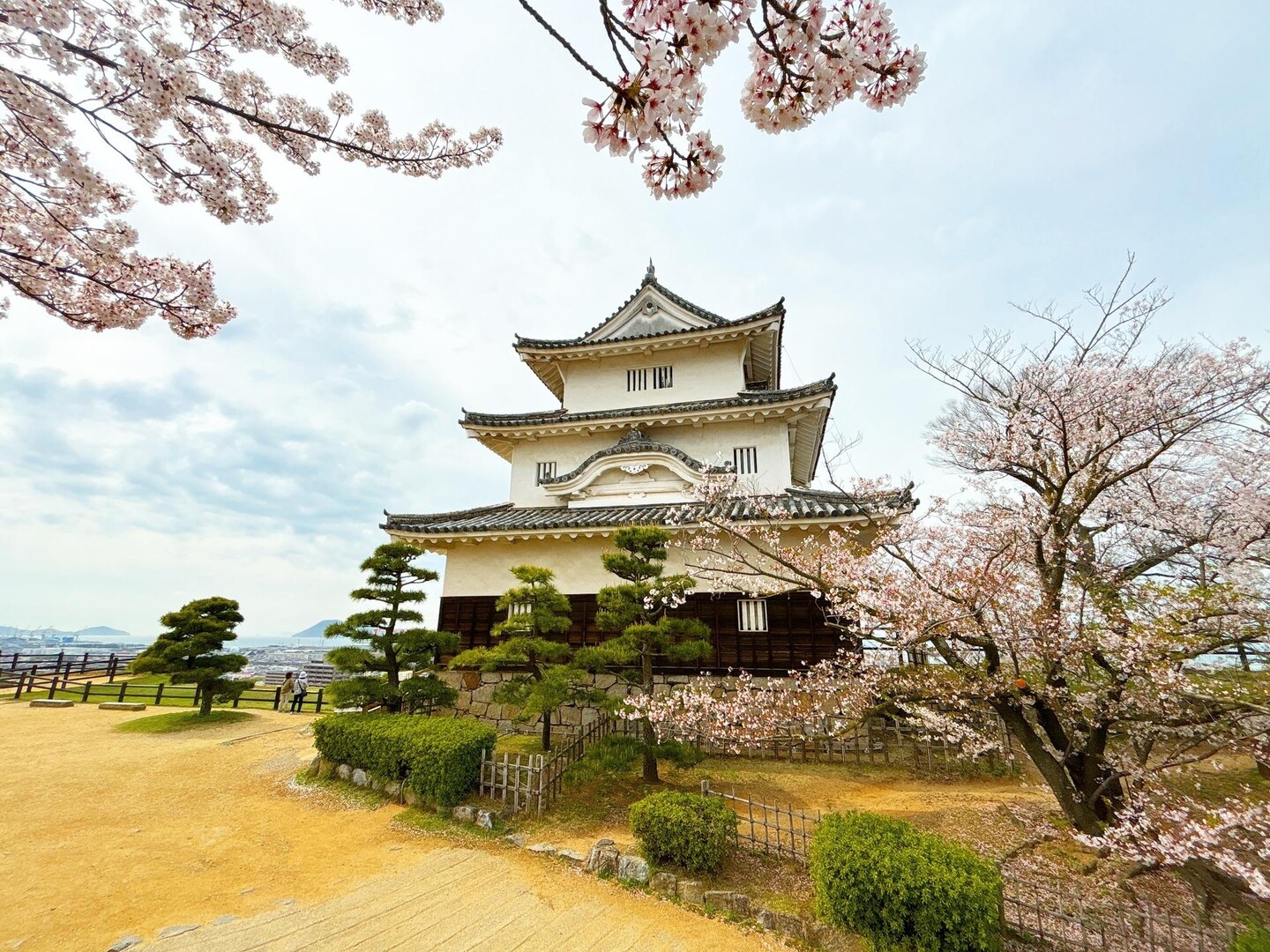 丸亀城 春 / muddy329さんの丸亀市の活動データ | YAMAP / ヤマップ