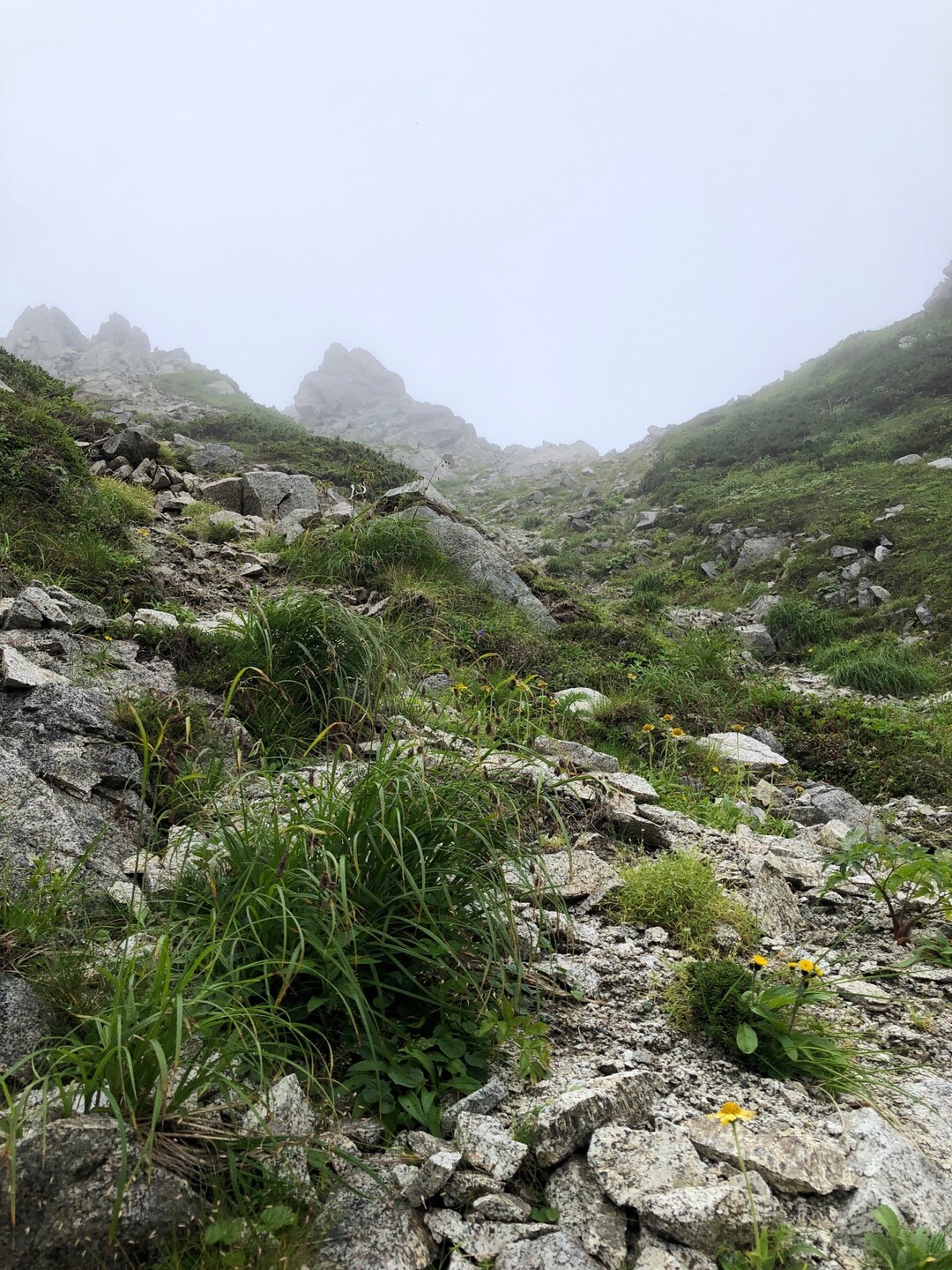 worryさんの投稿したフィールドメモ | YAMAP / ヤマップ