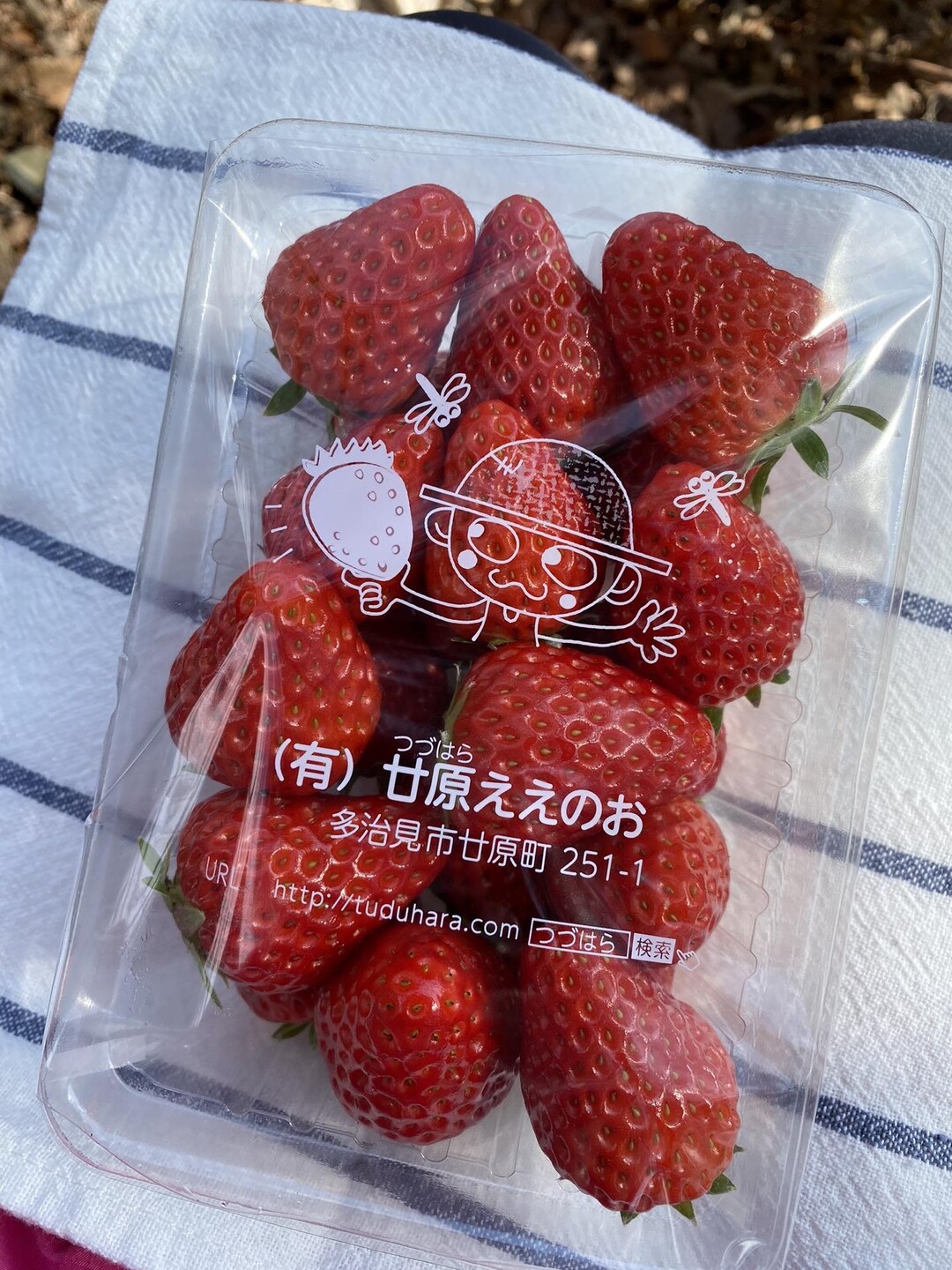 道樹山・大谷山・弥勒山🍓 / あかりん♪さんの春日井三山・弥勒山・大谷山・道樹山の活動データ | YAMAP / ヤマップ