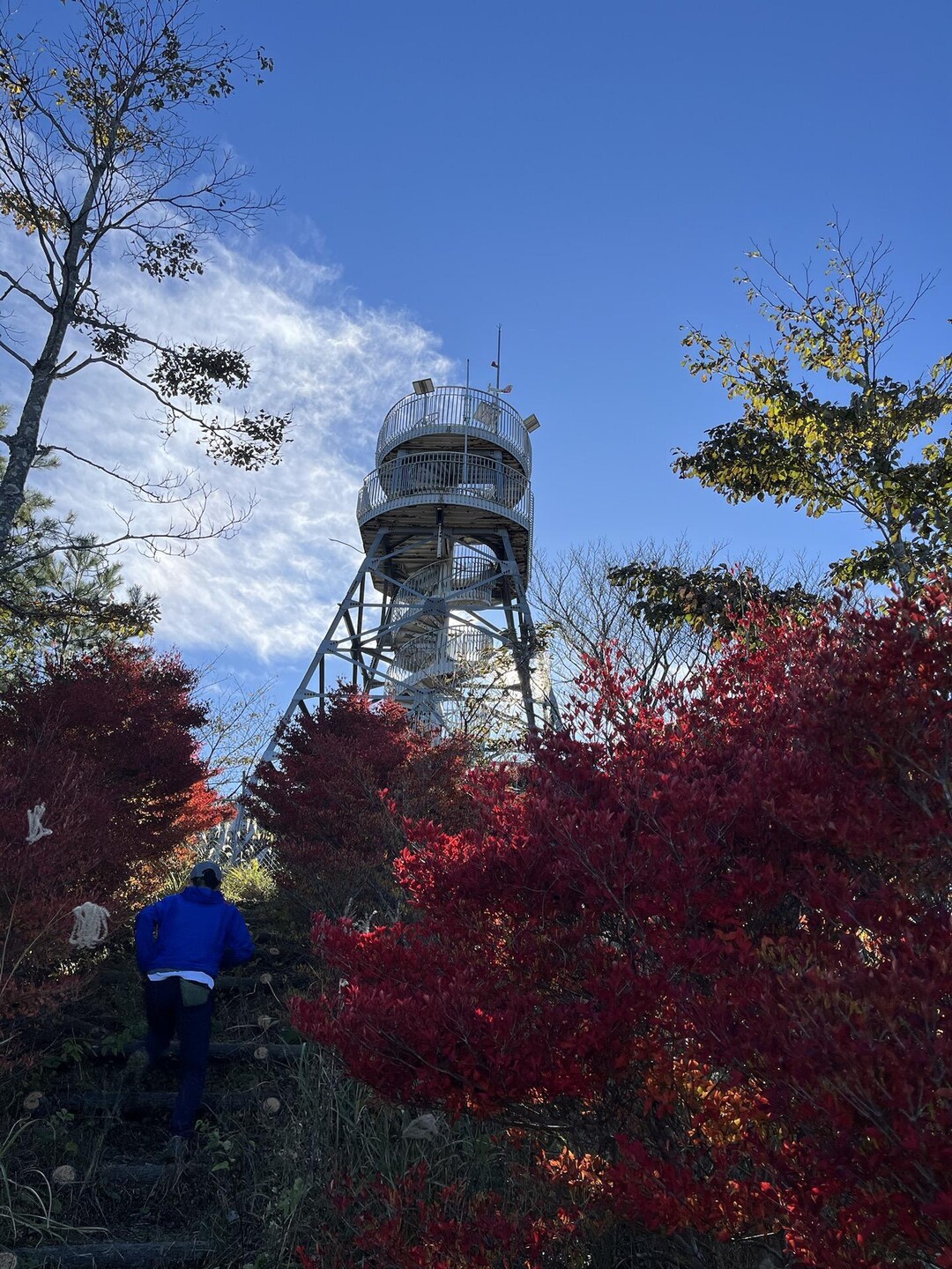 360°中国山地 大佐山ブルー / kovu_hikerさんの大佐山の活動データ | YAMAP / ヤマップ