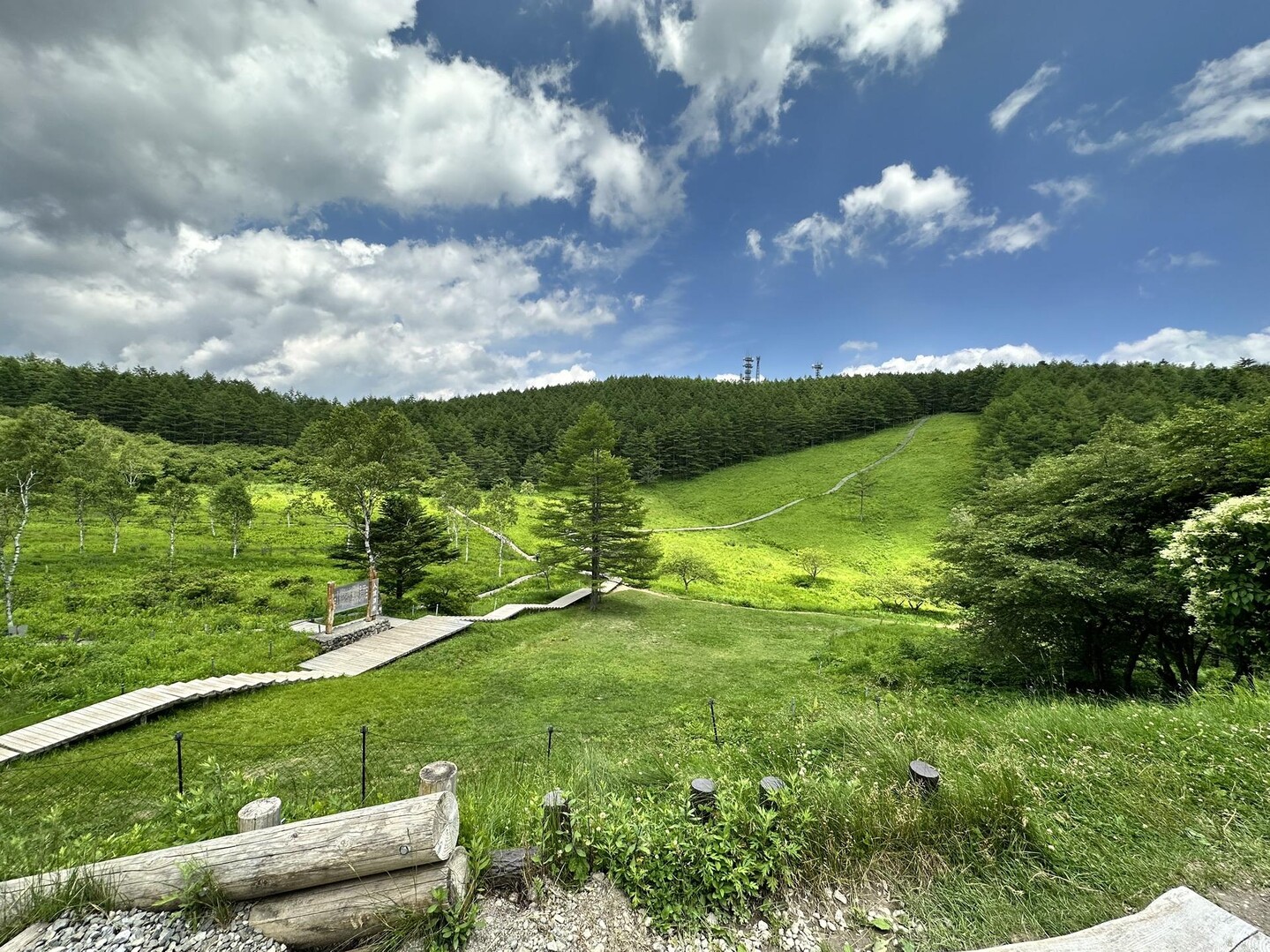 入笠山 / wa-koさんの入笠山の活動データ | YAMAP / ヤマップ