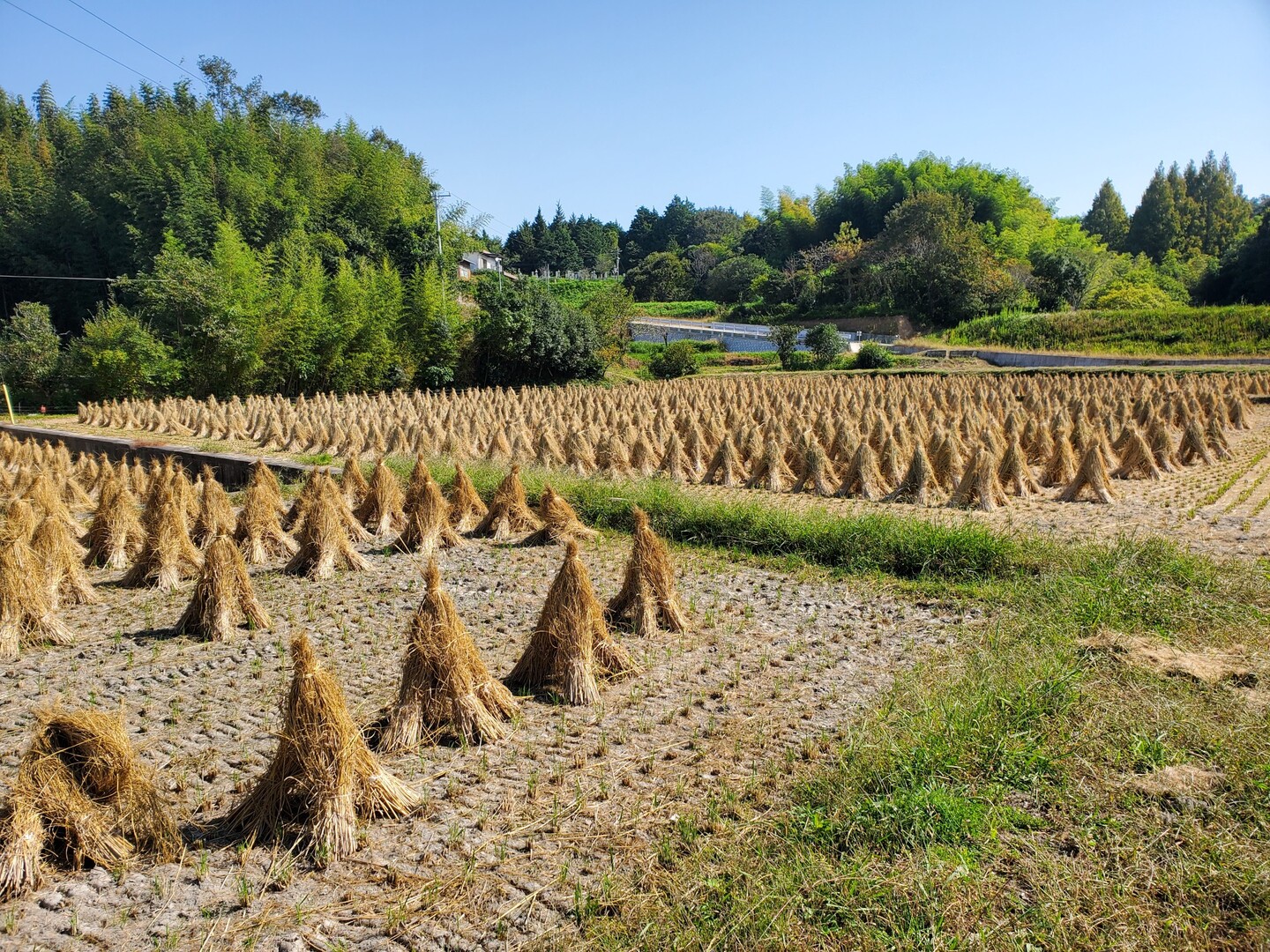 2021.10.06(水) 09:54 / inamonさんのモーメント | YAMAP / ヤマップ