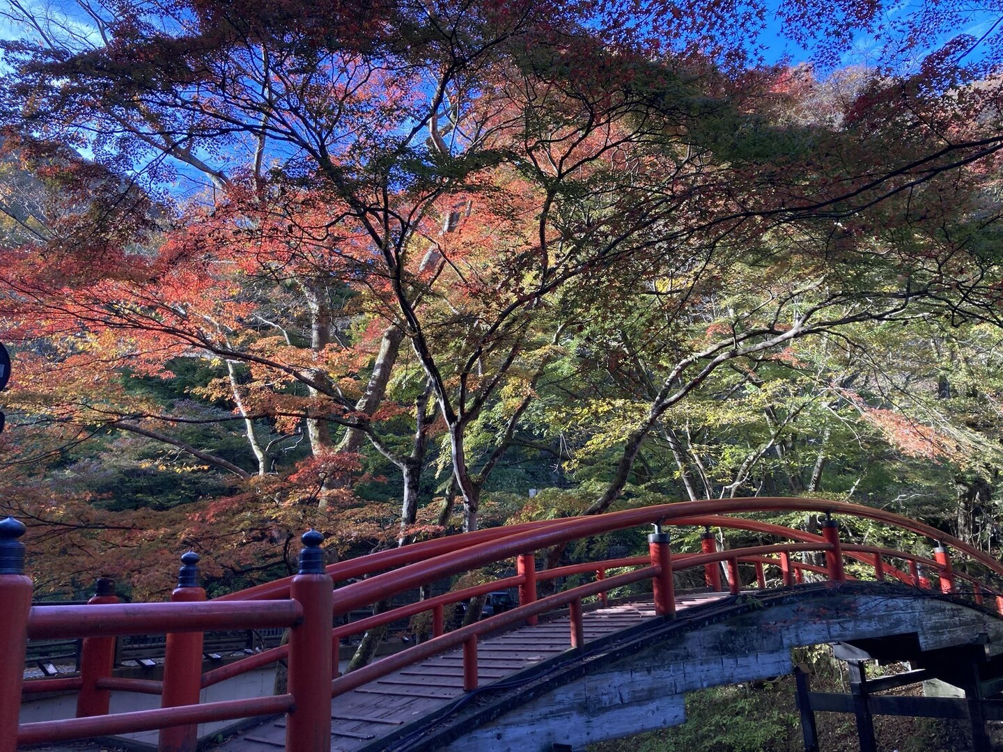 河鹿橋偵察🍁PART 3 / コニーさんの榛名山・天狗山・天目山の活動データ | YAMAP / ヤマップ