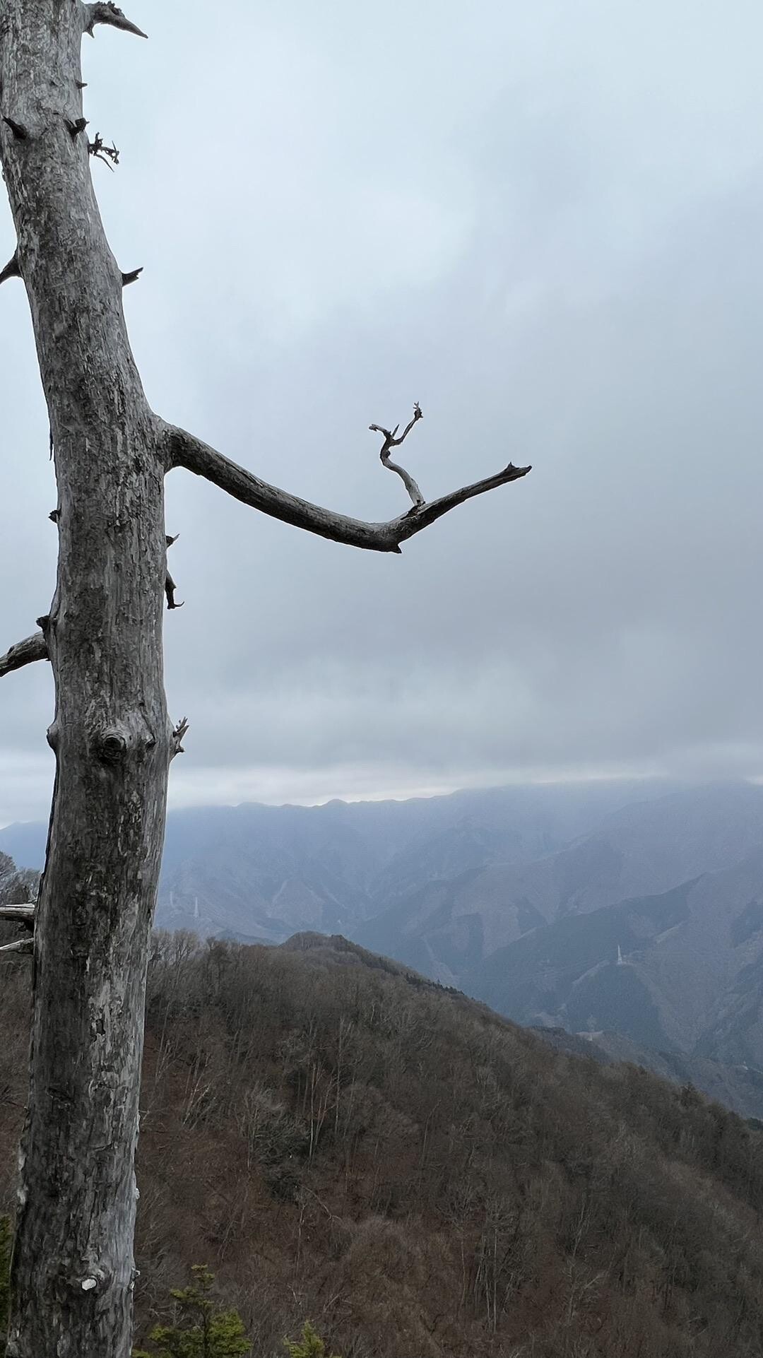 武甲山・小持山・大持山 / yuumin222.さんの武甲山・伊豆ヶ岳・小持山の活動データ | YAMAP / ヤマップ