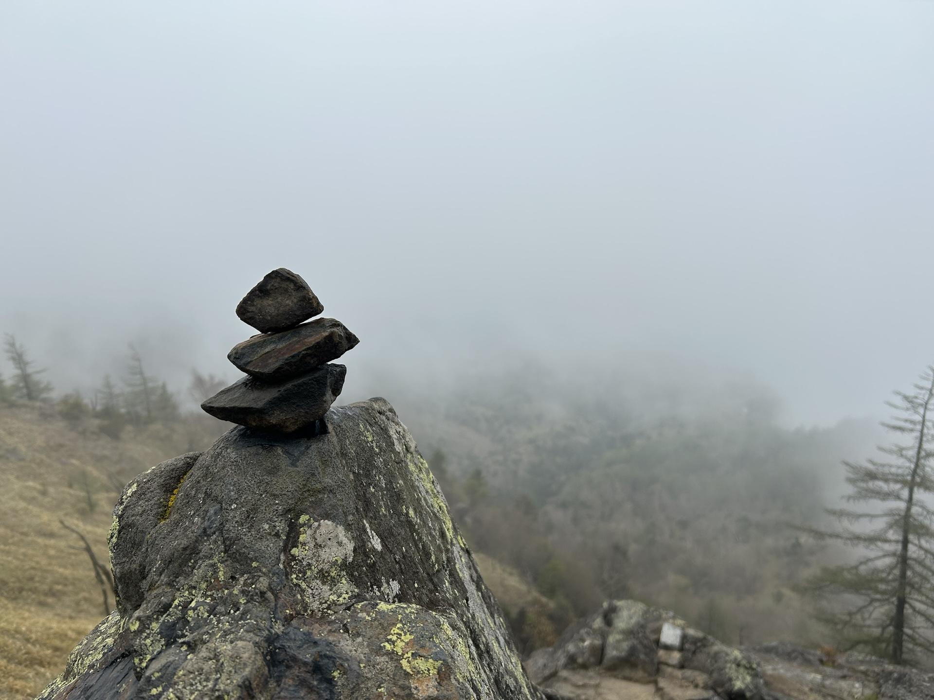 大菩薩嶺・妙見ノ頭・親不知ノ頭 / uda19さんの大菩薩嶺・鶏冠山・大マテイ山の活動データ | YAMAP / ヤマップ