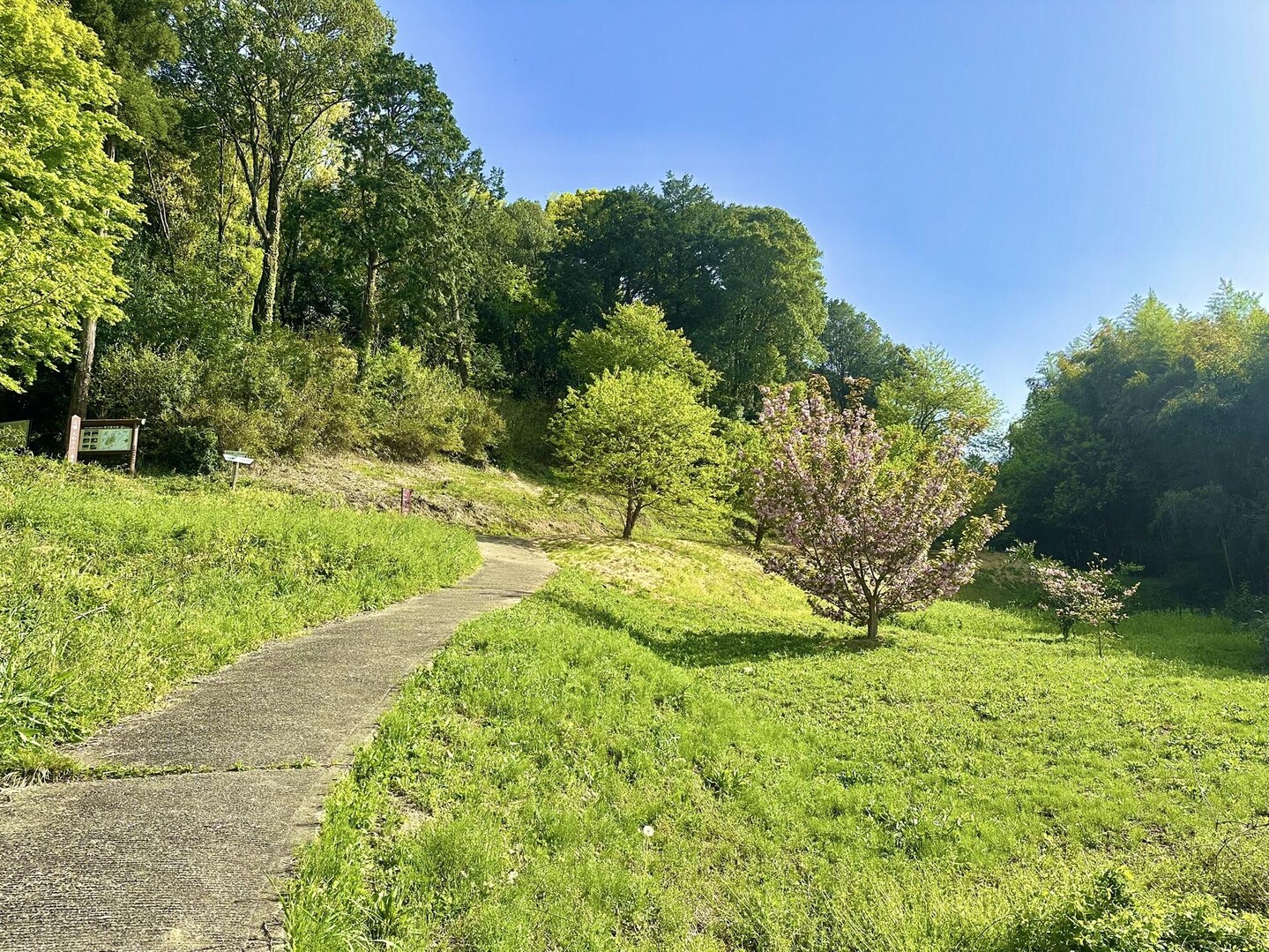 おかわり 大和三山 畝傍山&天香久山 / mioさんの大和三山（天香久山・畝傍山・耳成山）の活動データ | YAMAP / ヤマップ