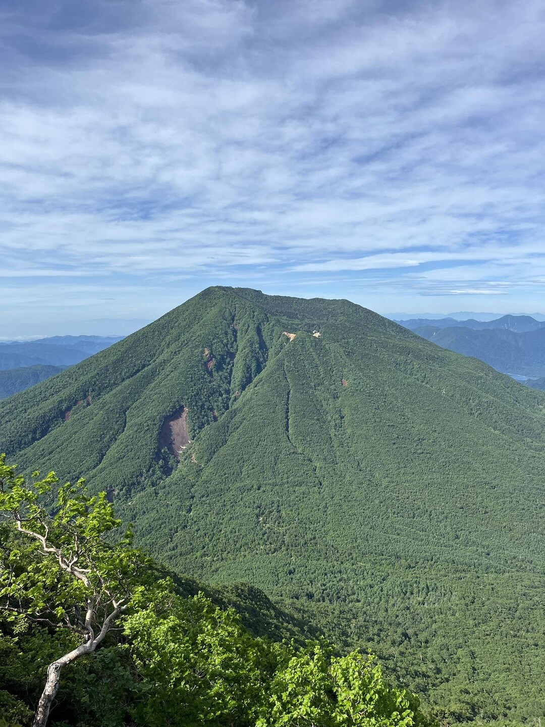 大真名子山・小真名子山・男体山⛰️最後にまさかの🐻登場 / Yumiさんの男体山の活動データ | YAMAP / ヤマップ