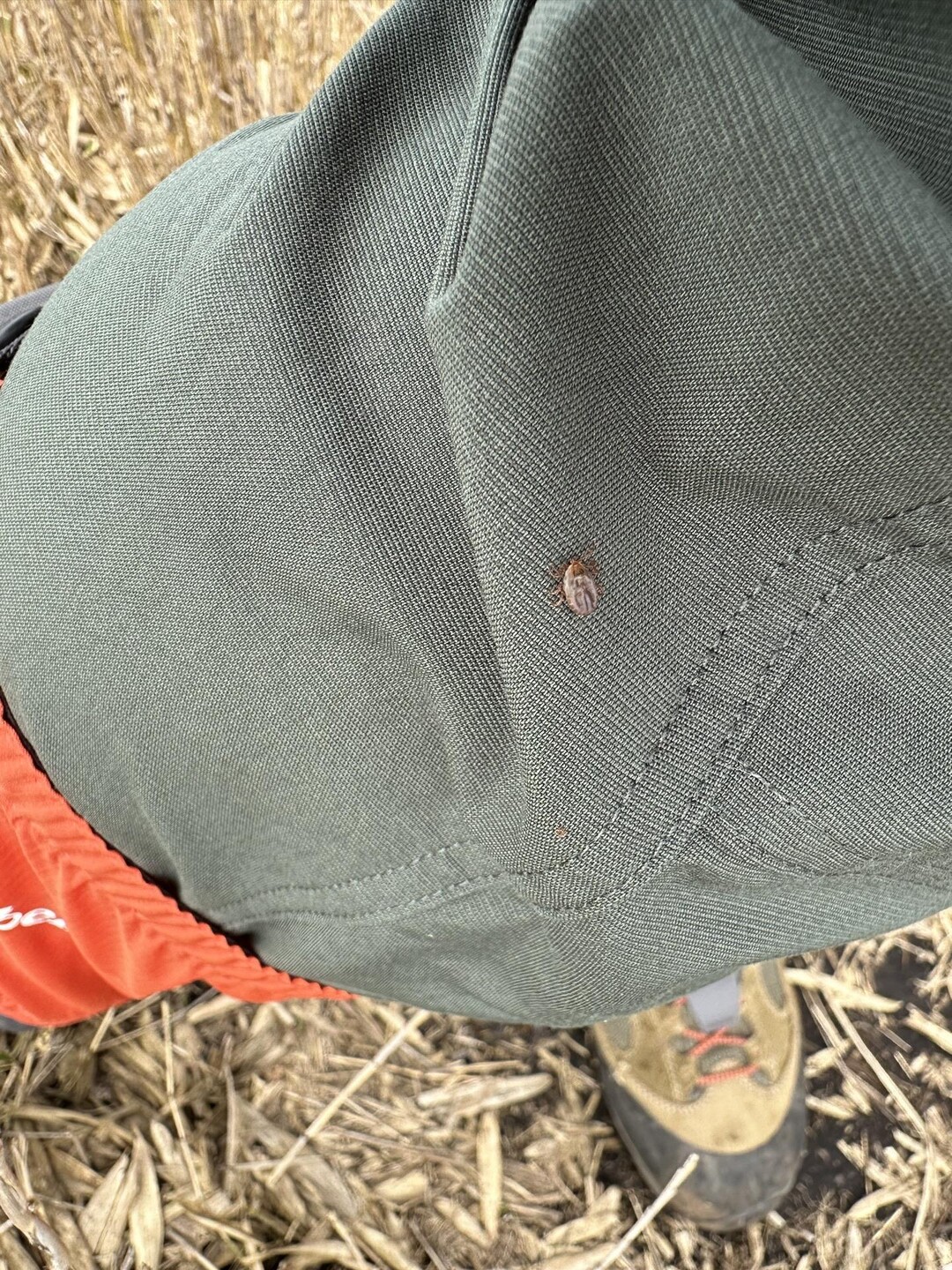 マダニに注意⚠️春の福万山 2024-04-07 / na-kaさんの福万山・大祖山・平家山の活動データ | YAMAP / ヤマップ