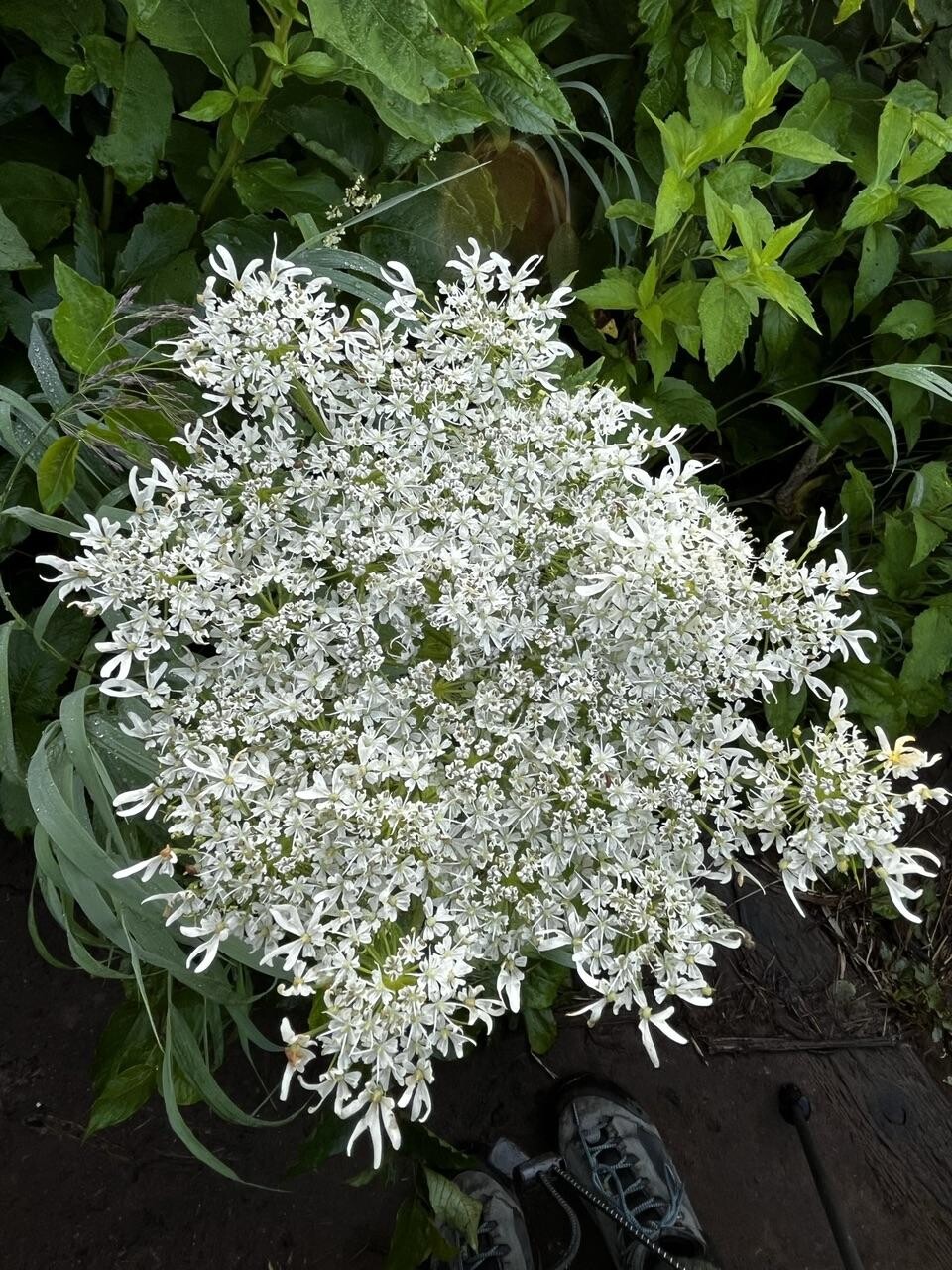 se-ko613のページ | YAMAP / ヤマップ