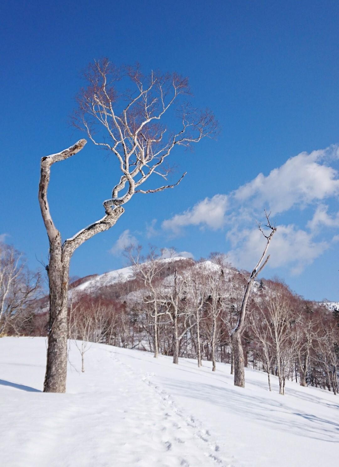 Wow here we come 202... / ミヒルさんのモーメント | YAMAP / ヤマップ