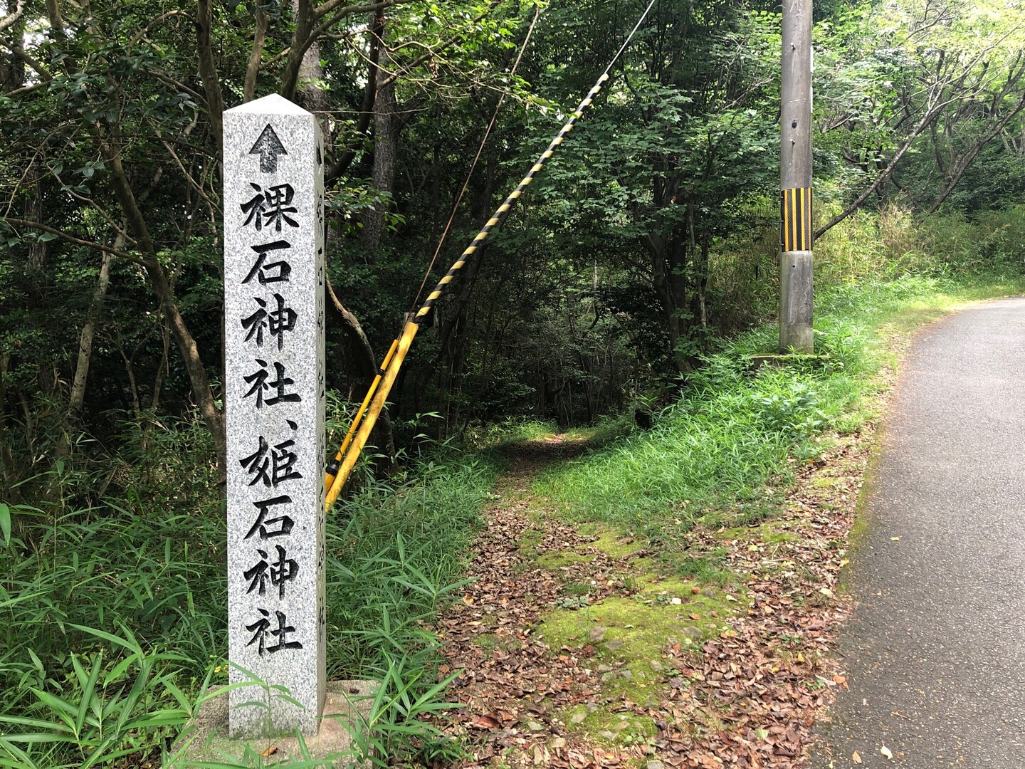 雌岡山あじさい満開 / 雄岡山・雌岡山の写真10枚目 | YAMAP / ヤマップ