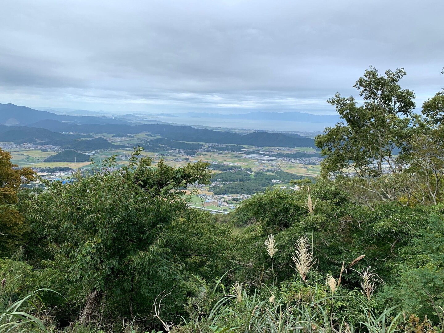 徳蔵山・伊吹山 / nexusさんの伊吹山・伊吹高原・御座峰の活動データ | YAMAP / ヤマップ