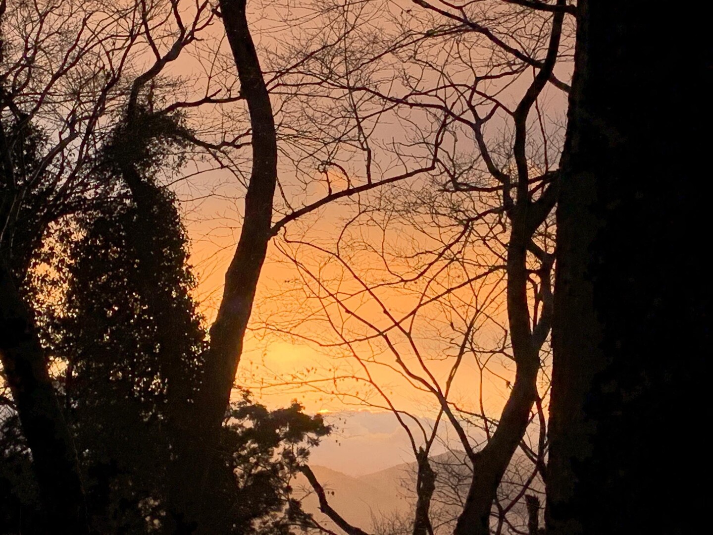 1MJ（ソロ） / JOG太郎さんの文殊山の活動データ | YAMAP / ヤマップ