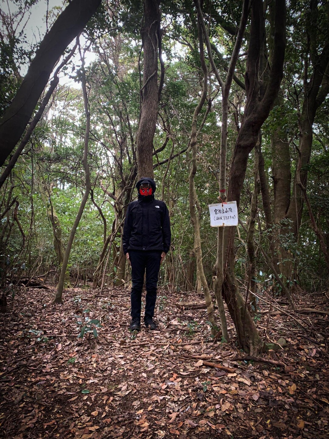 ニタ山 ︎ 宮地岳 / masaroyさんの宮地岳の活動データ | YAMAP / ヤマップ