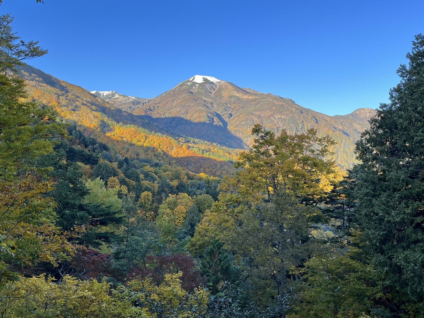 秋 千国揚尾根と笹目尾根、風吹山周回 / Jさんの雪倉岳・朝日岳・風吹岳の活動データ | YAMAP / ヤマップ