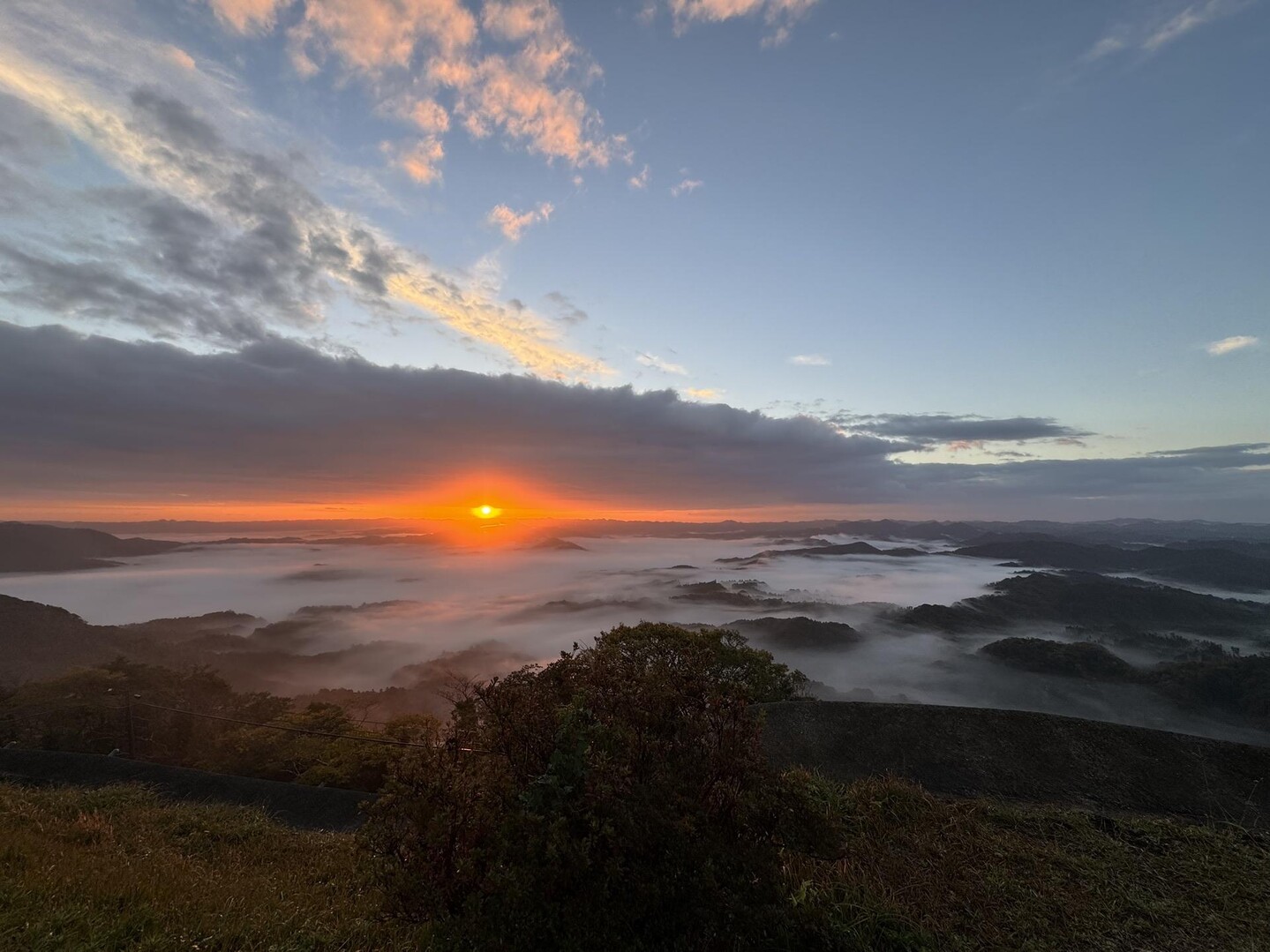 鹿野山の雲海-2023-11-23 / hamさんの鹿野山の活動データ | YAMAP / ヤマップ