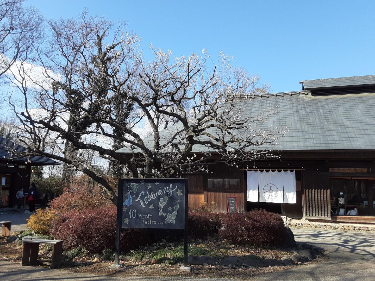 天平の丘公園 梅の花が咲いていました🌸... / mokoさんのモーメント | YAMAP / ヤマップ