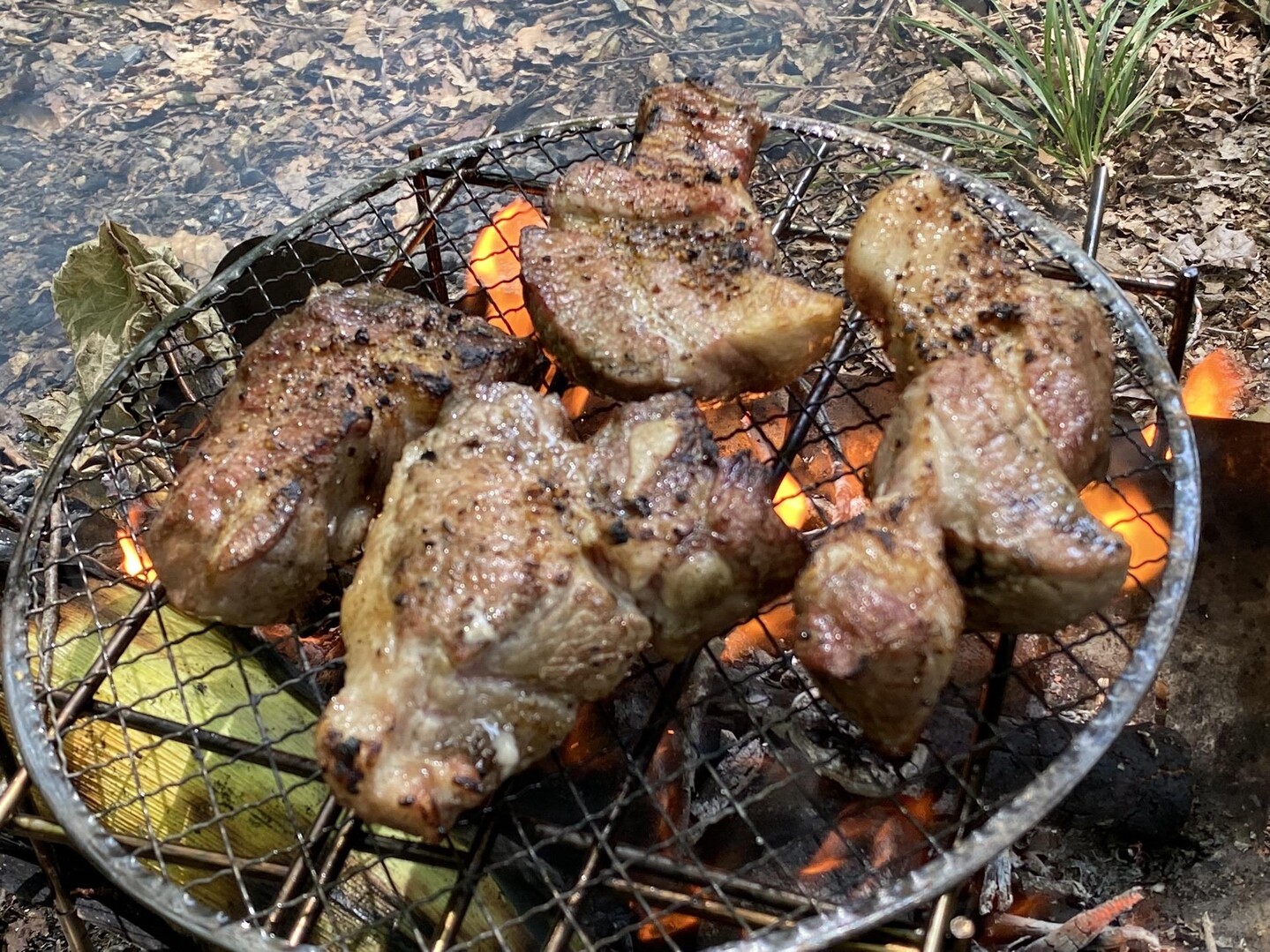 BBQ🍖と大人の水遊び / あきばっちさんの朝日岳の活動データ | YAMAP / ヤマップ