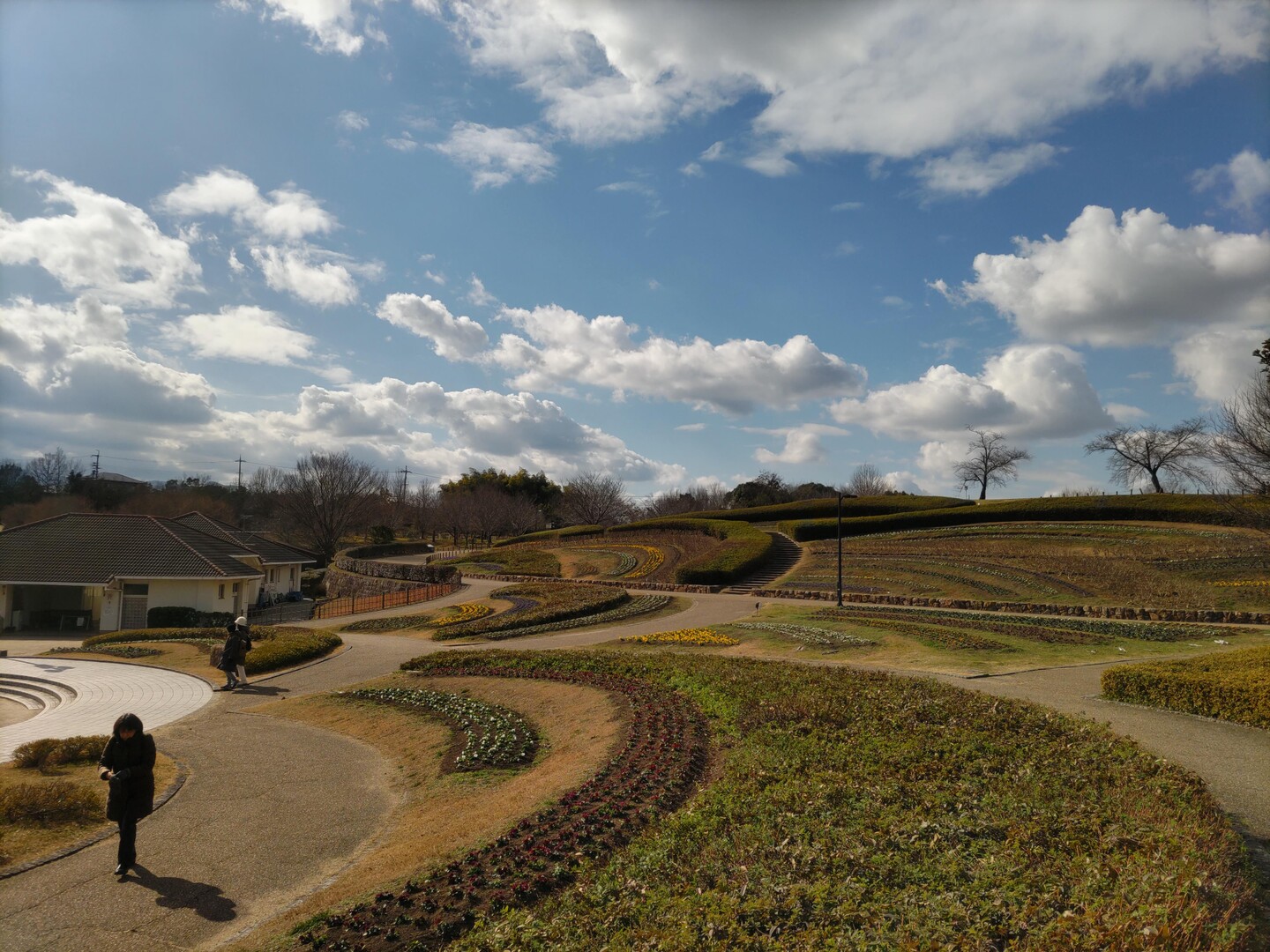 冬の馬見丘陵公園で 花､鳥､古墳 / asayanさんの金剛山・二上山・大和葛城山の活動データ | YAMAP / ヤマップ