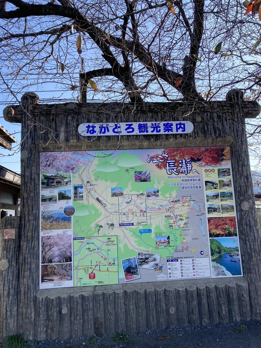 宝登山 / mmさんの宝登山・長瀞アルプス・不動山・陣見山・鐘撞堂山の活動データ | YAMAP / ヤマップ