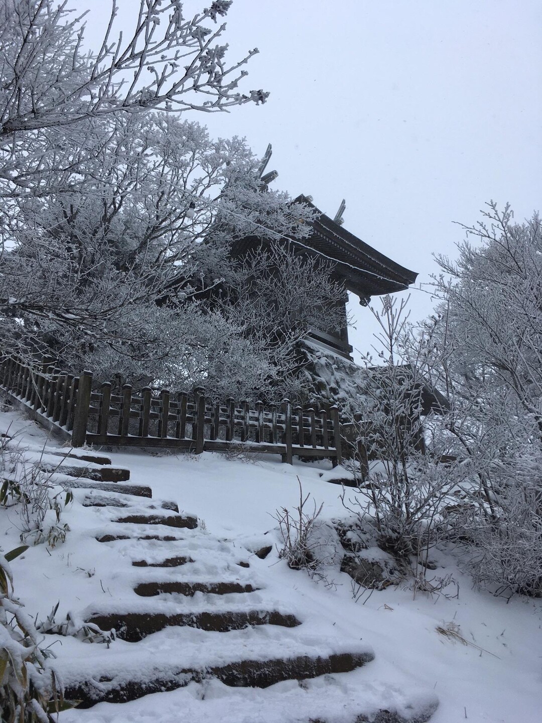 筑波山（男体山）ケーブルカー / chica de montañaさんの筑波山の活動データ | YAMAP / ヤマップ