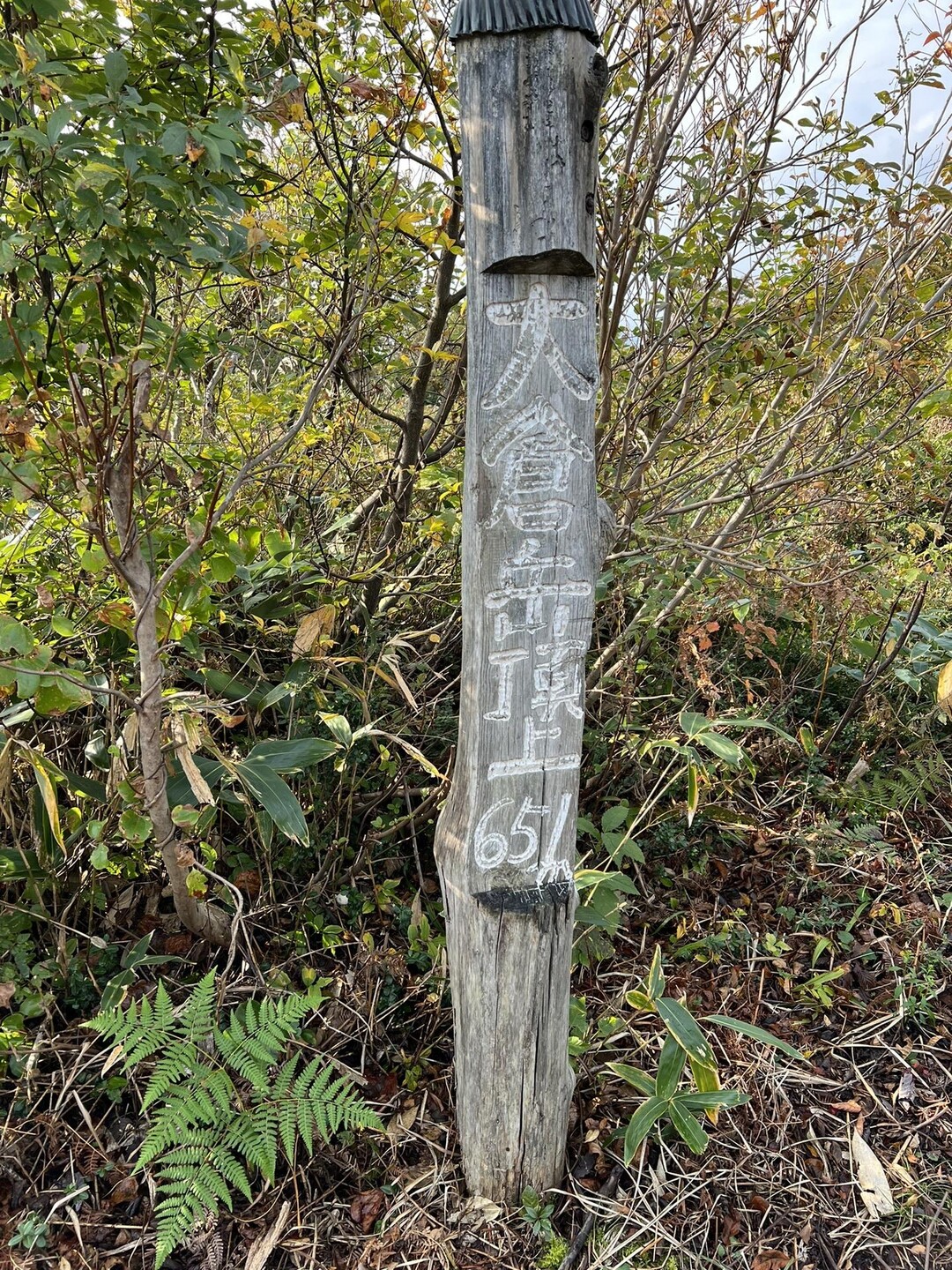 作事峰・大倉岳 / ぜんいちさんの大倉岳・蓮如山の活動データ | YAMAP / ヤマップ