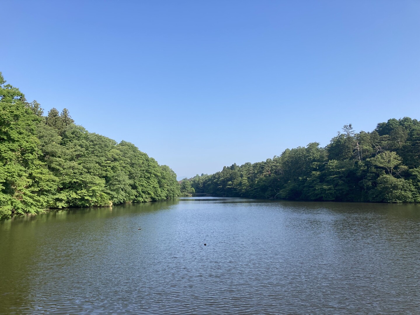 おはようございます^ ^ 今朝は風が吹... / OBsunさんのモーメント | YAMAP / ヤマップ